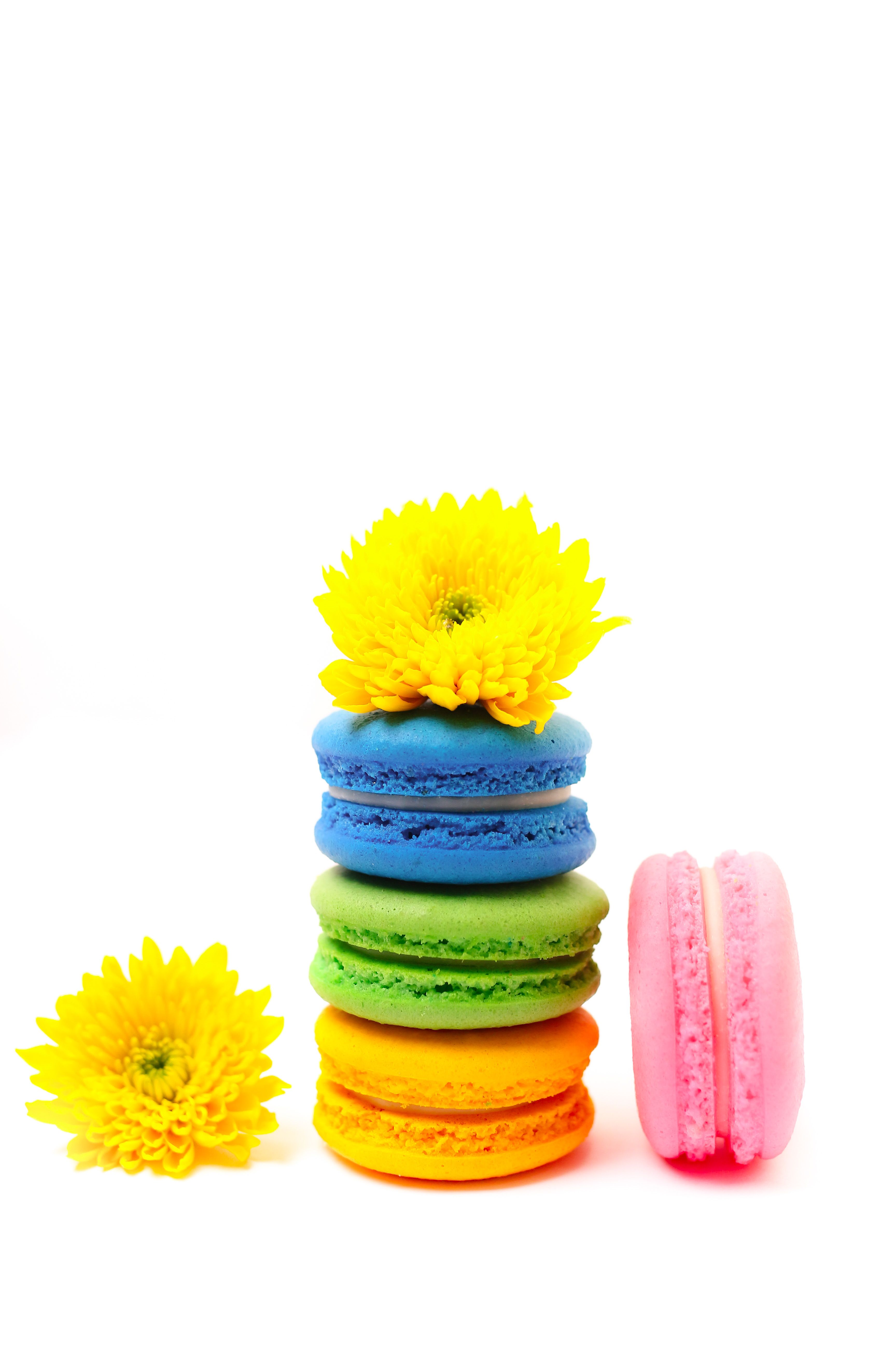 Us Bakers Photos, Download The BEST Free Us Bakers Stock Photos & HD Images