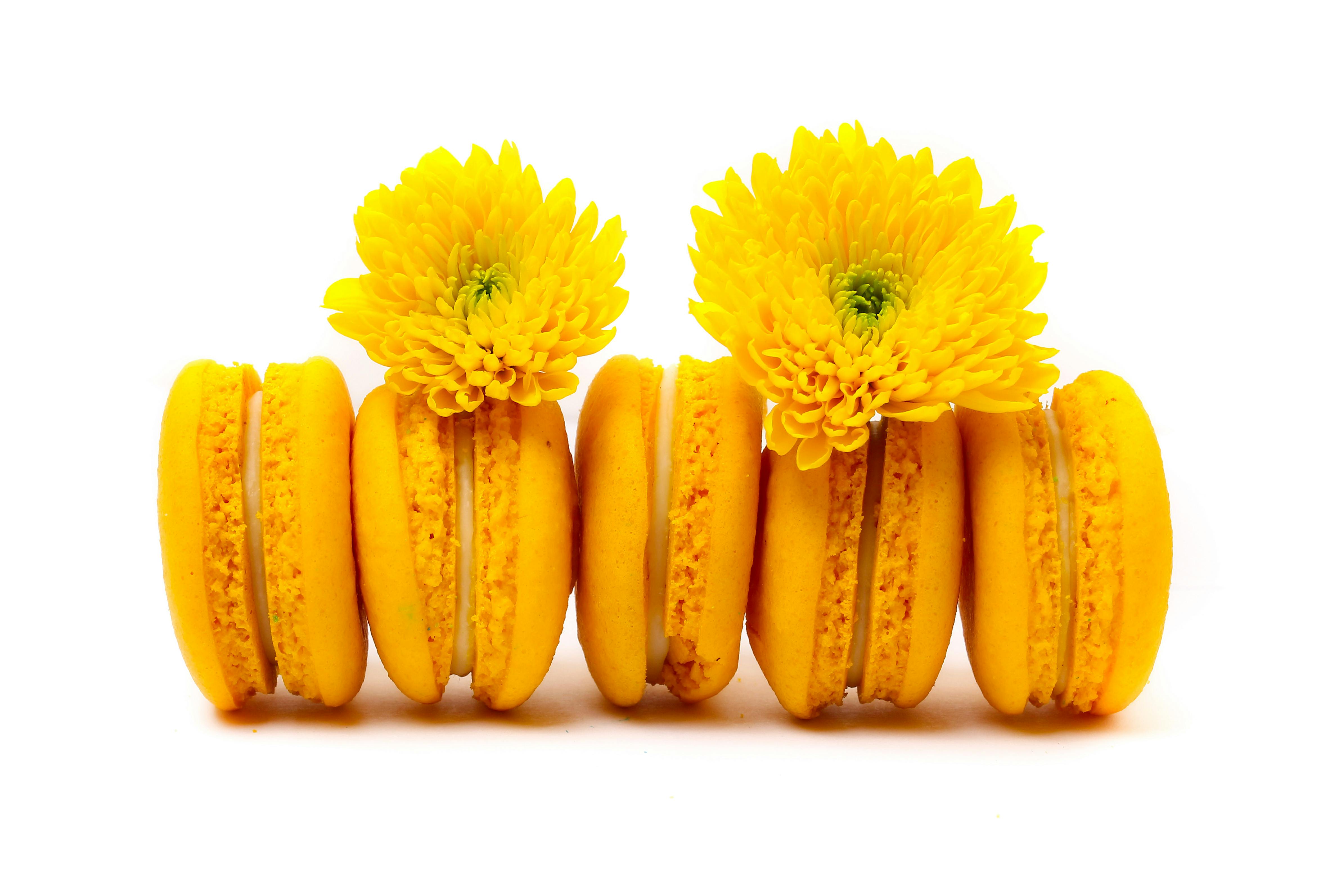 Vibrant Yellow Macarons with Chrysanthemums · Free Stock Photo