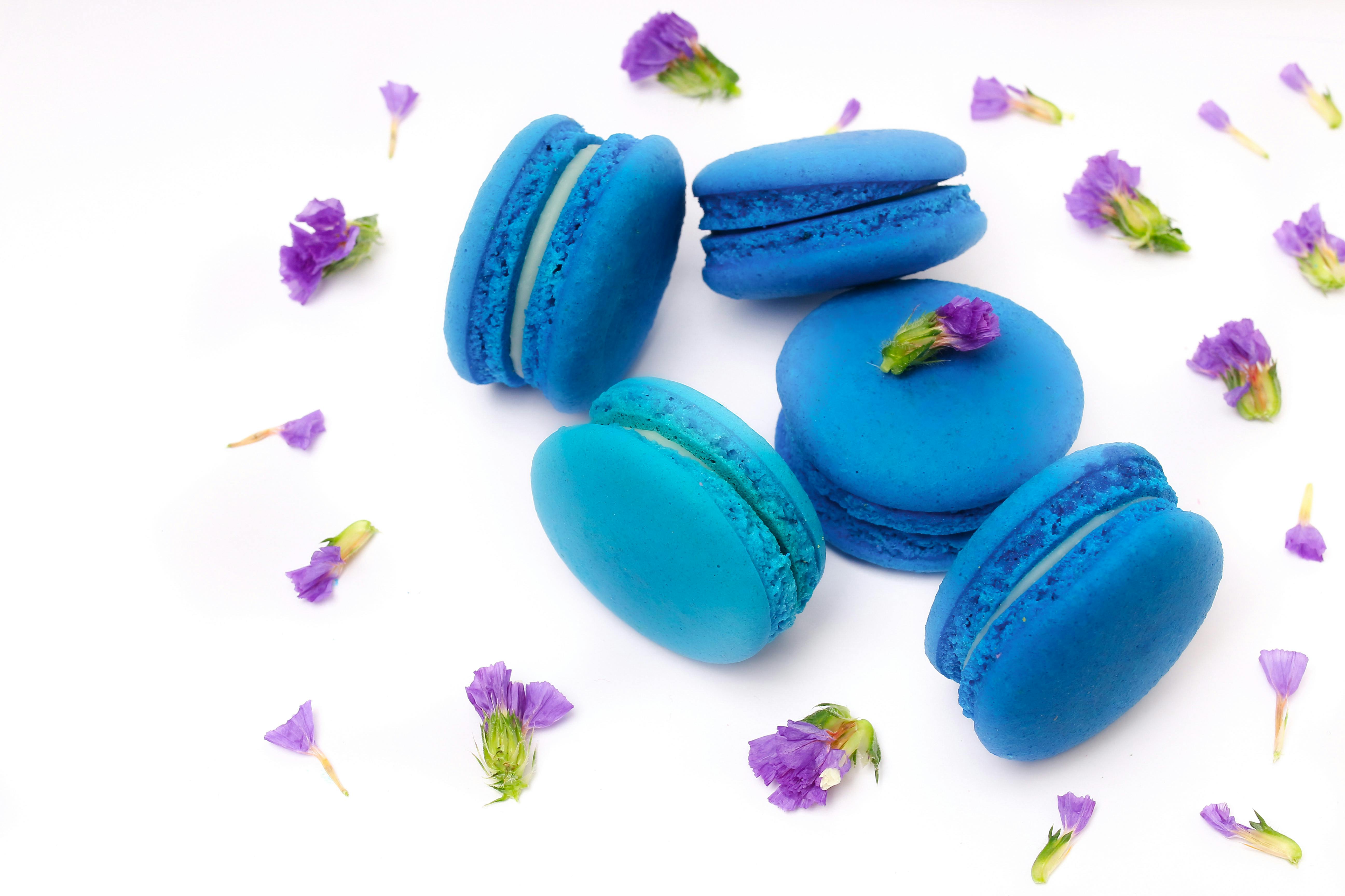Colorful Blue Macarons with Purple Flowers · Free Stock Photo