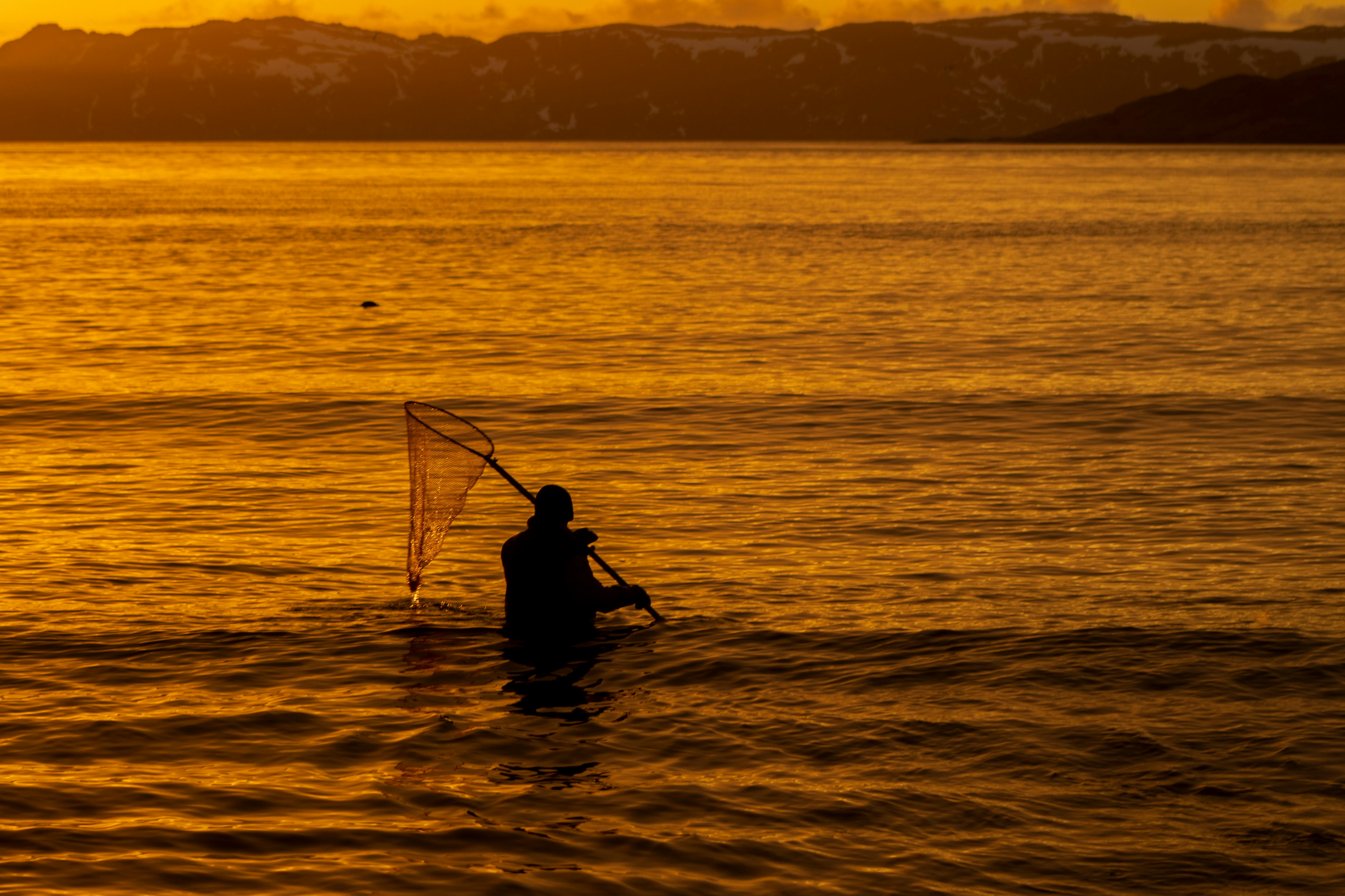 Douro Net Obrazky Photos, Download The BEST Free Douro Net Obrazky ...