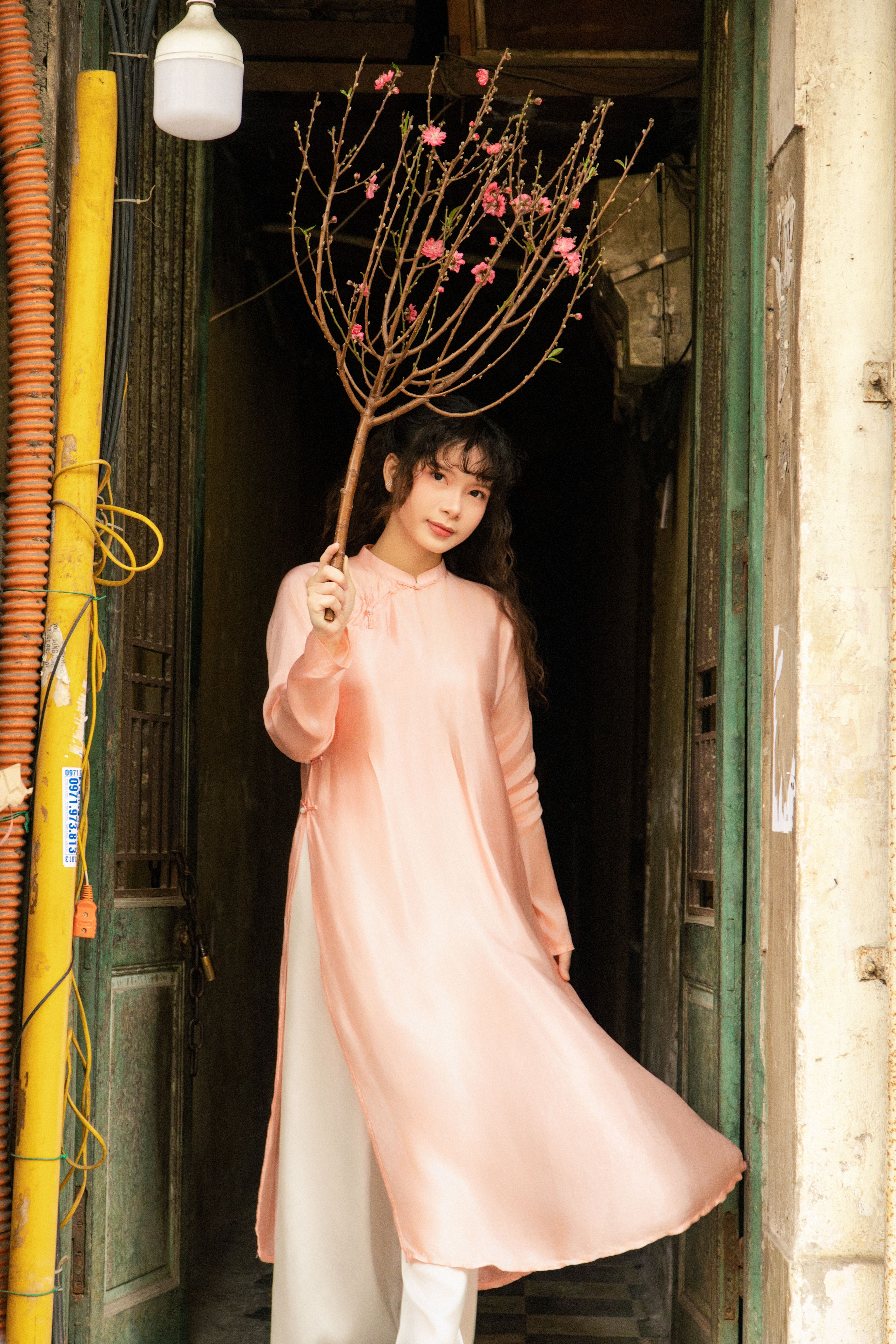 Vietnamese Woman Celebrating Tet in Traditional Dress · Free Stock Photo