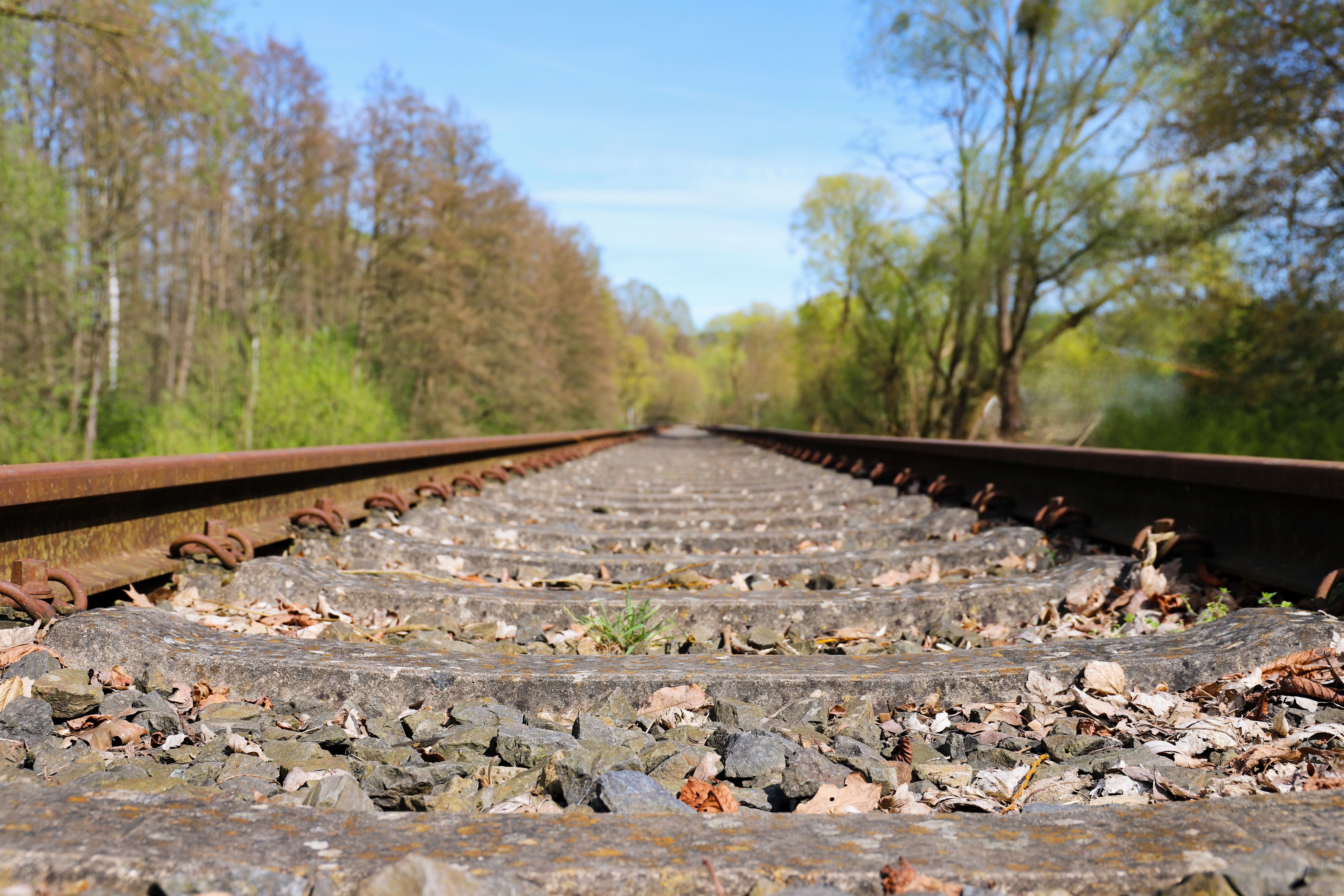 Rustic Railway Tracks in Serene Nature Setting · Free Stock Photo