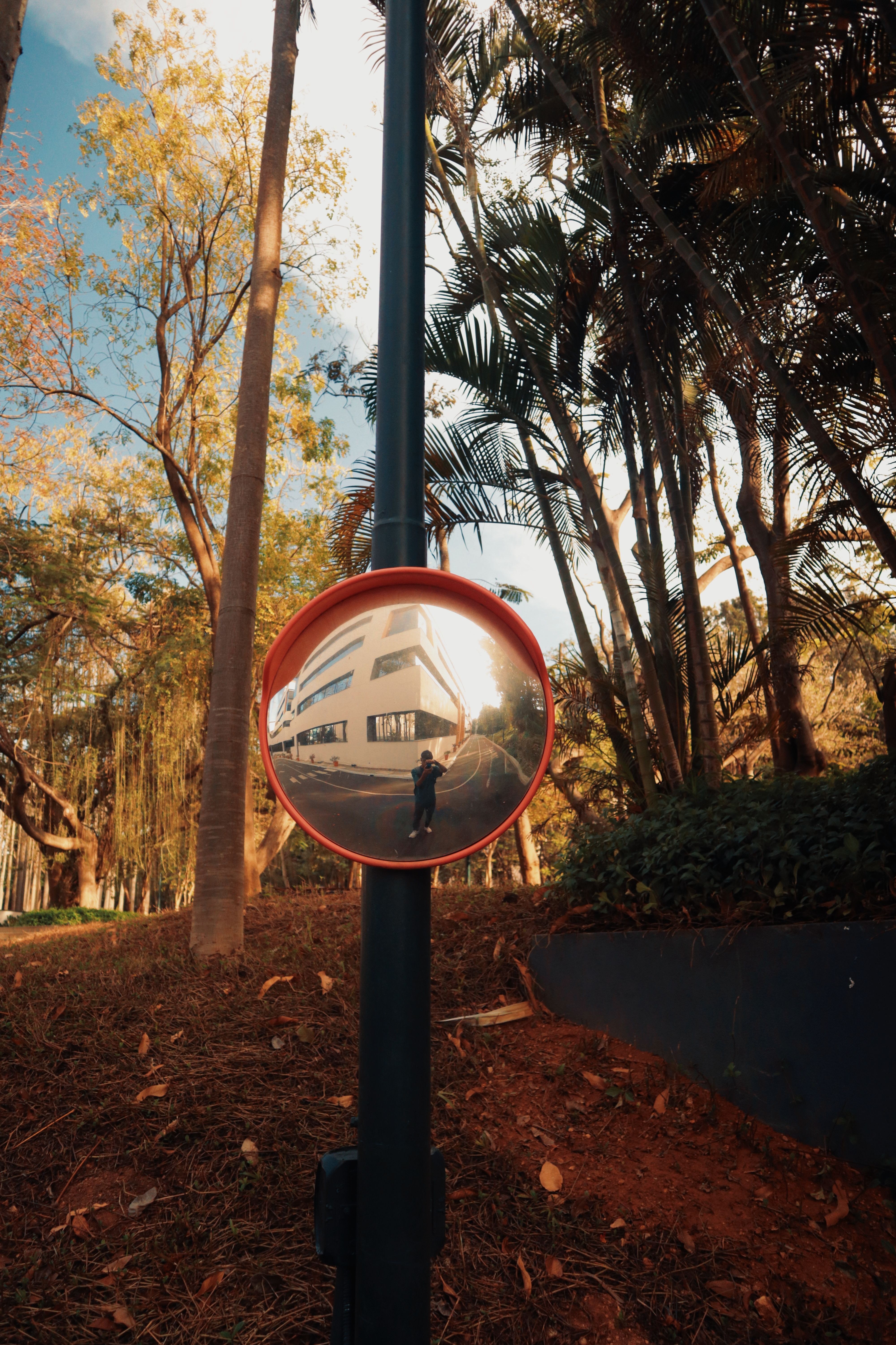 Reflection in a Traffic Mirror in a Park Setting · Free Stock Photo