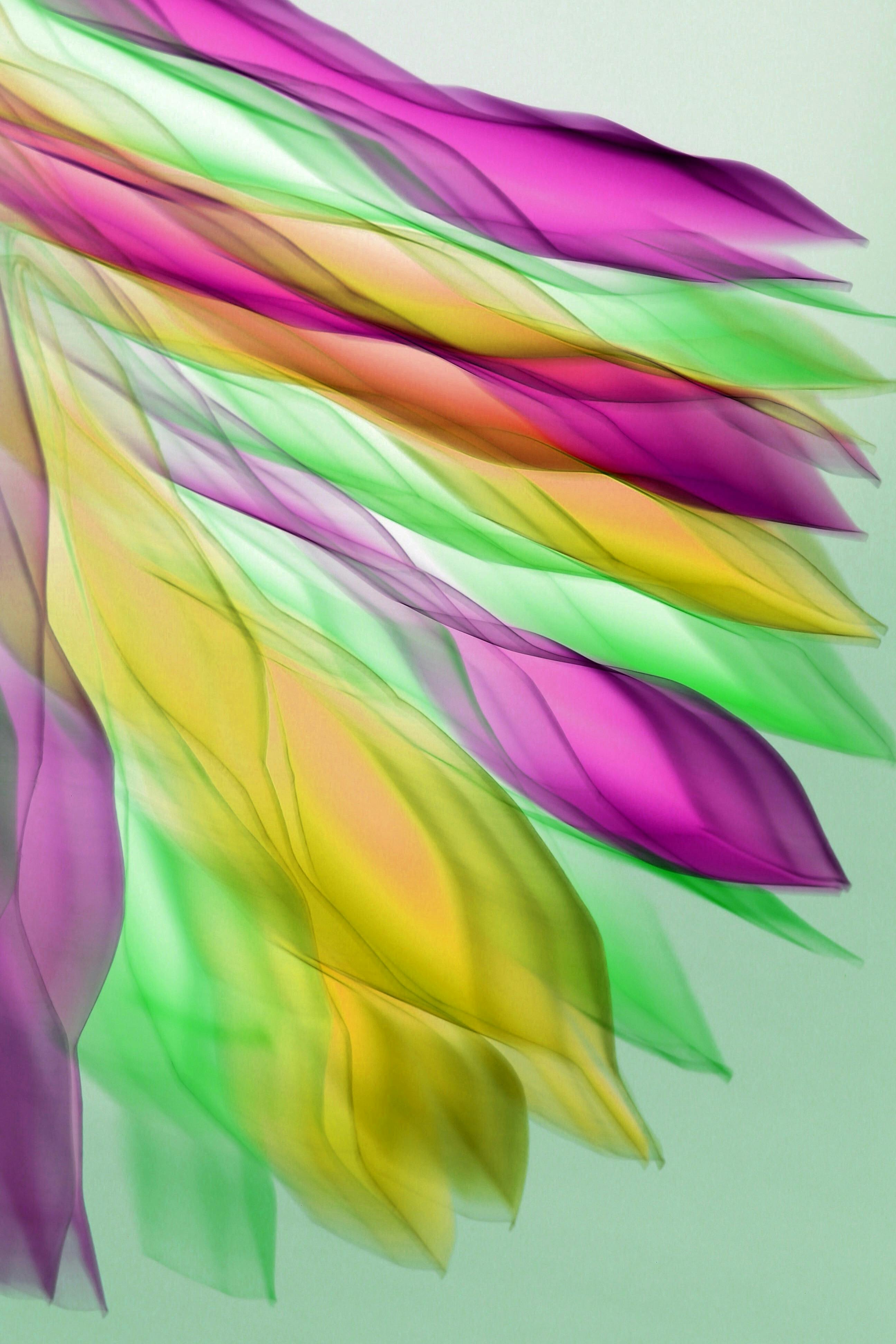 Colorful Abstract Leaf Pattern Art · Free Stock Photo