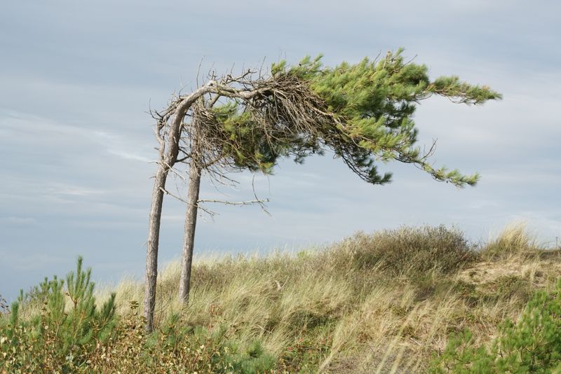 Wind Photos, Download The BEST Free Wind Stock Photos & HD Images