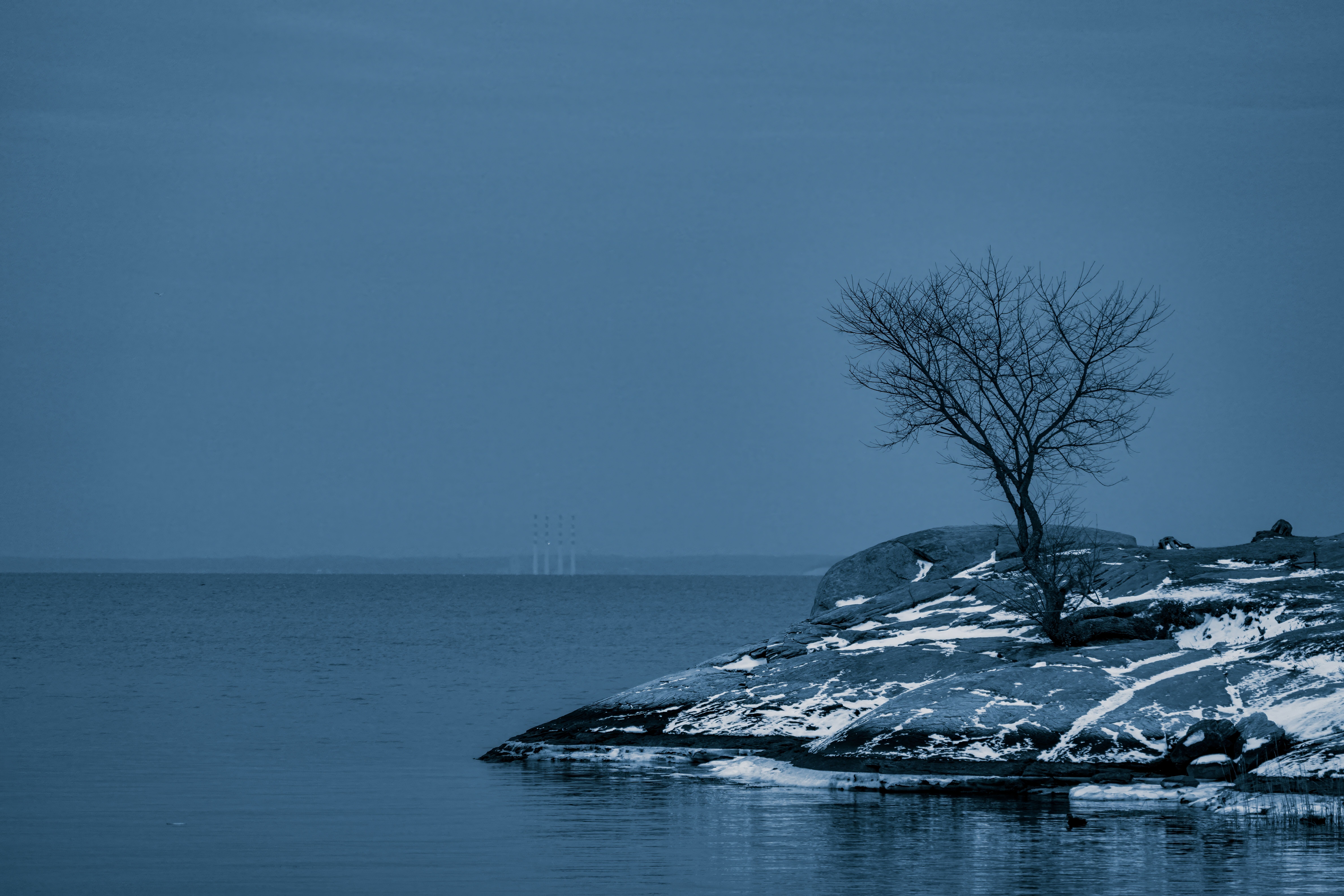 Winter Dawn at Cove Island Park Stamford · Free Stock Photo