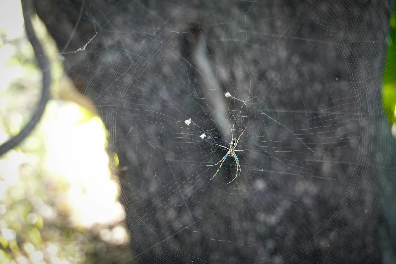 Web Cam Photos, Download The BEST Free Web Cam Stock Photos & HD Images