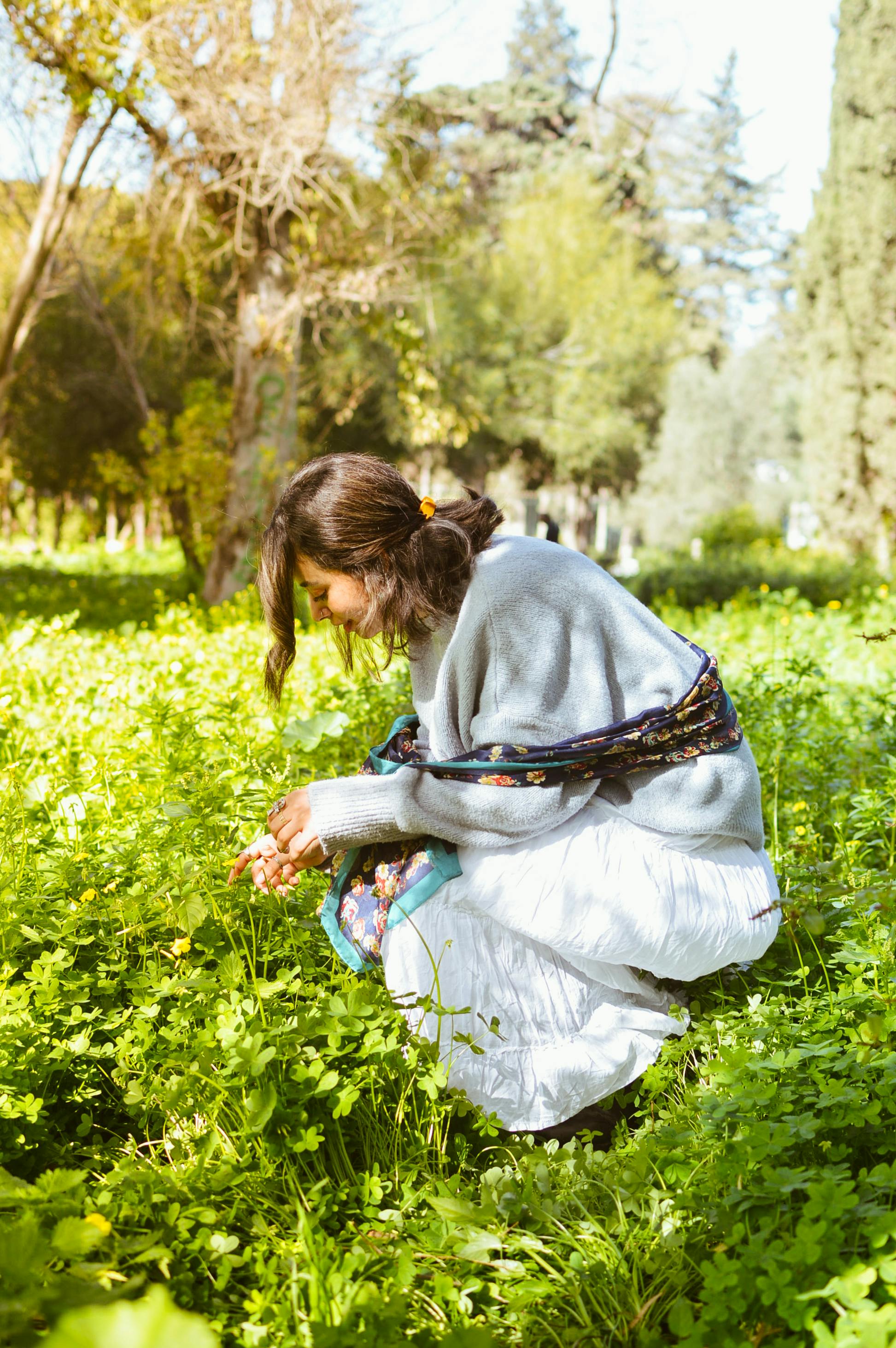 Floral Hobby Photos, Download The BEST Free Floral Hobby Stock Photos ...