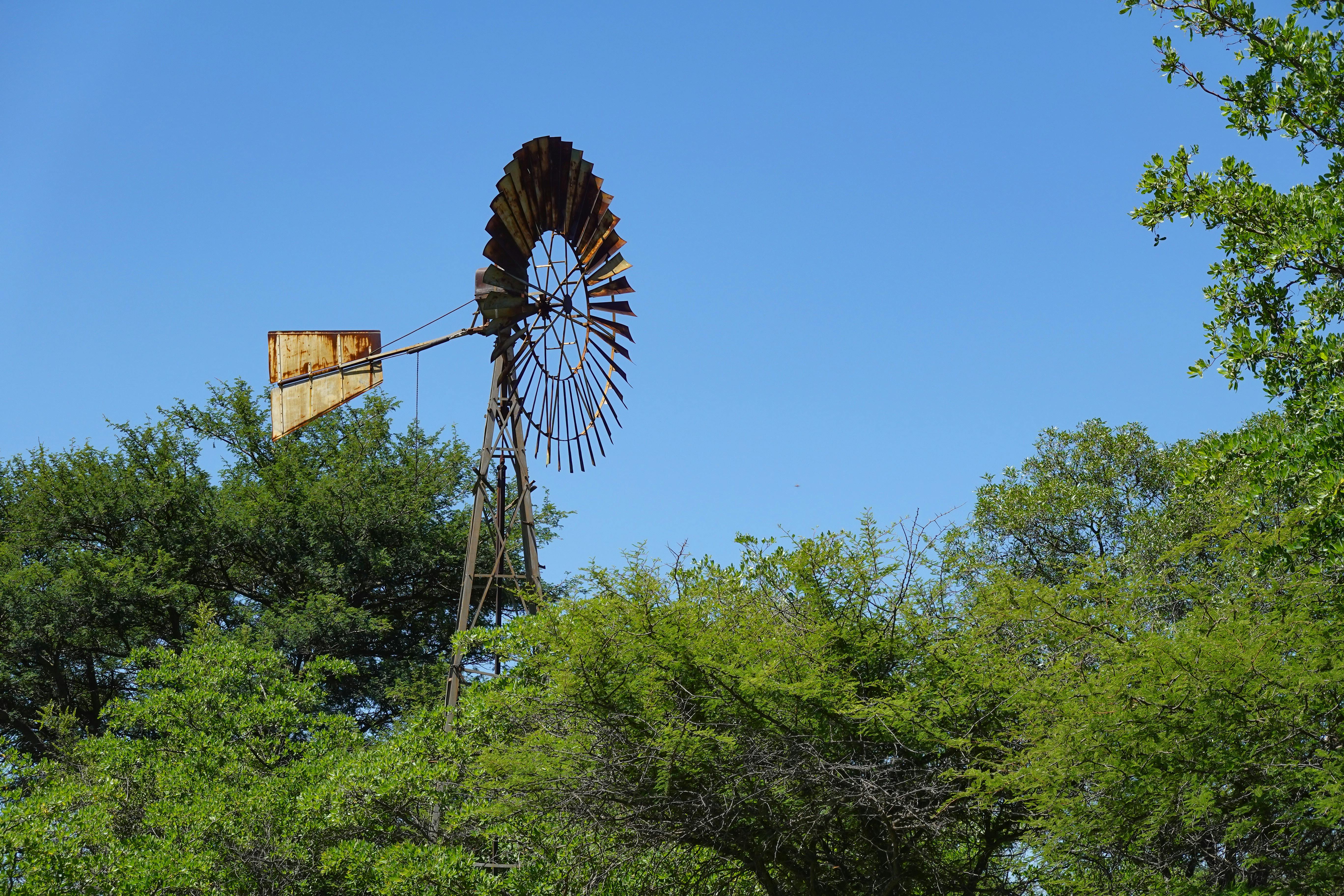 Rustic Windmill Towering Over Green Foliage · Free Stock Photo