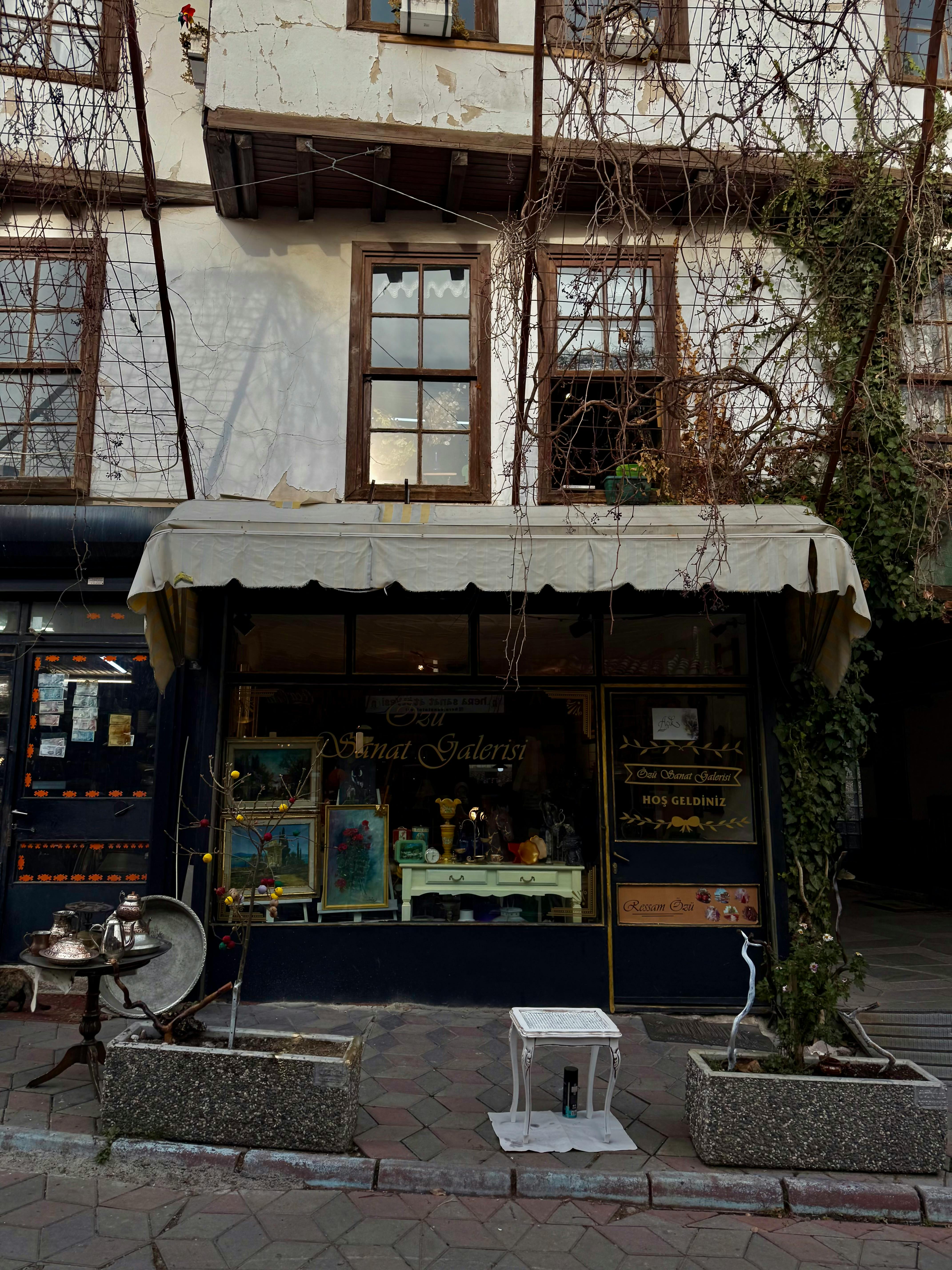 Plants Shop Photos, Download The BEST Free Plants Shop Stock Photos ...