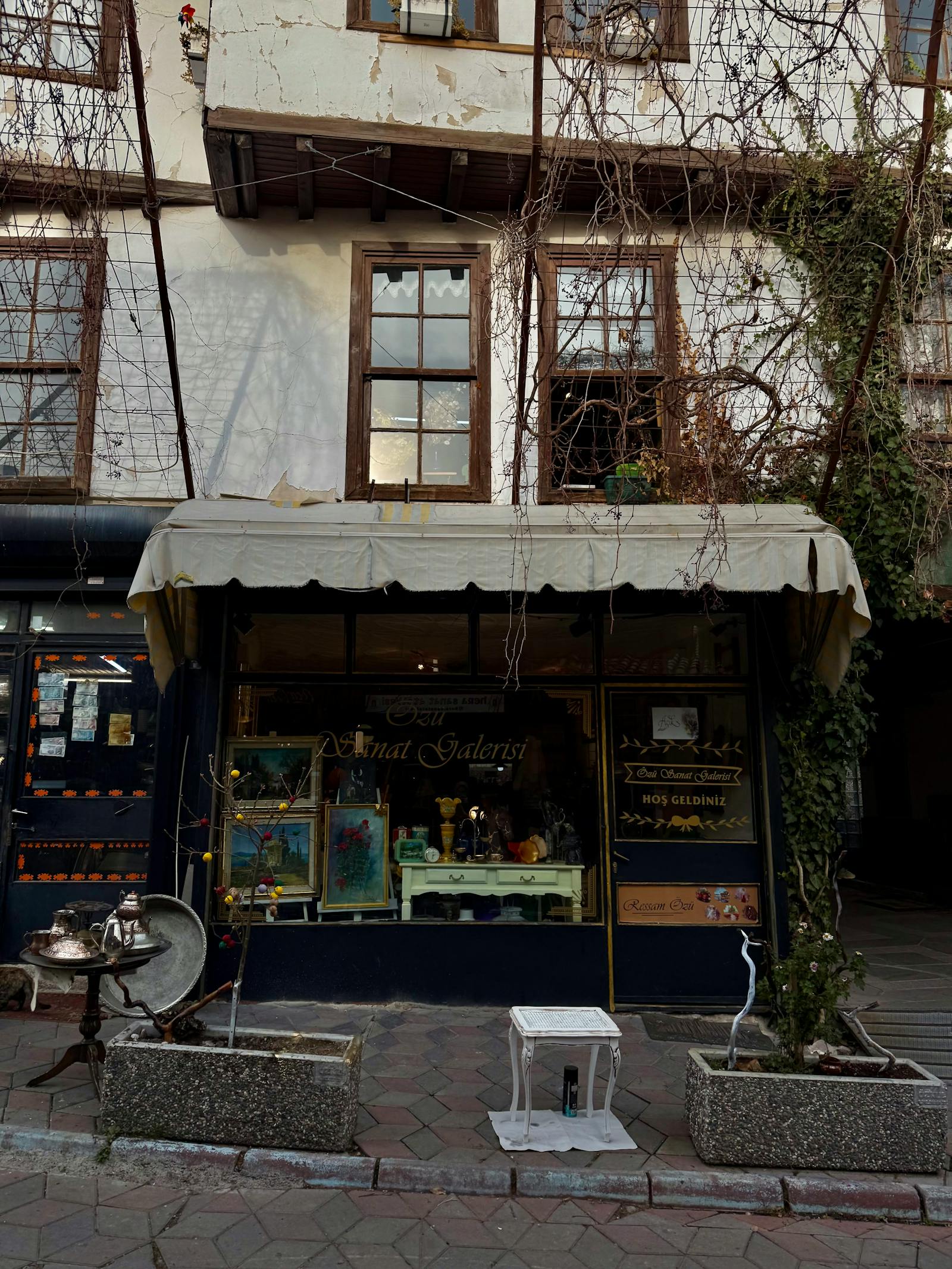 Plants Shop Photos, Download The BEST Free Plants Shop Stock Photos ...