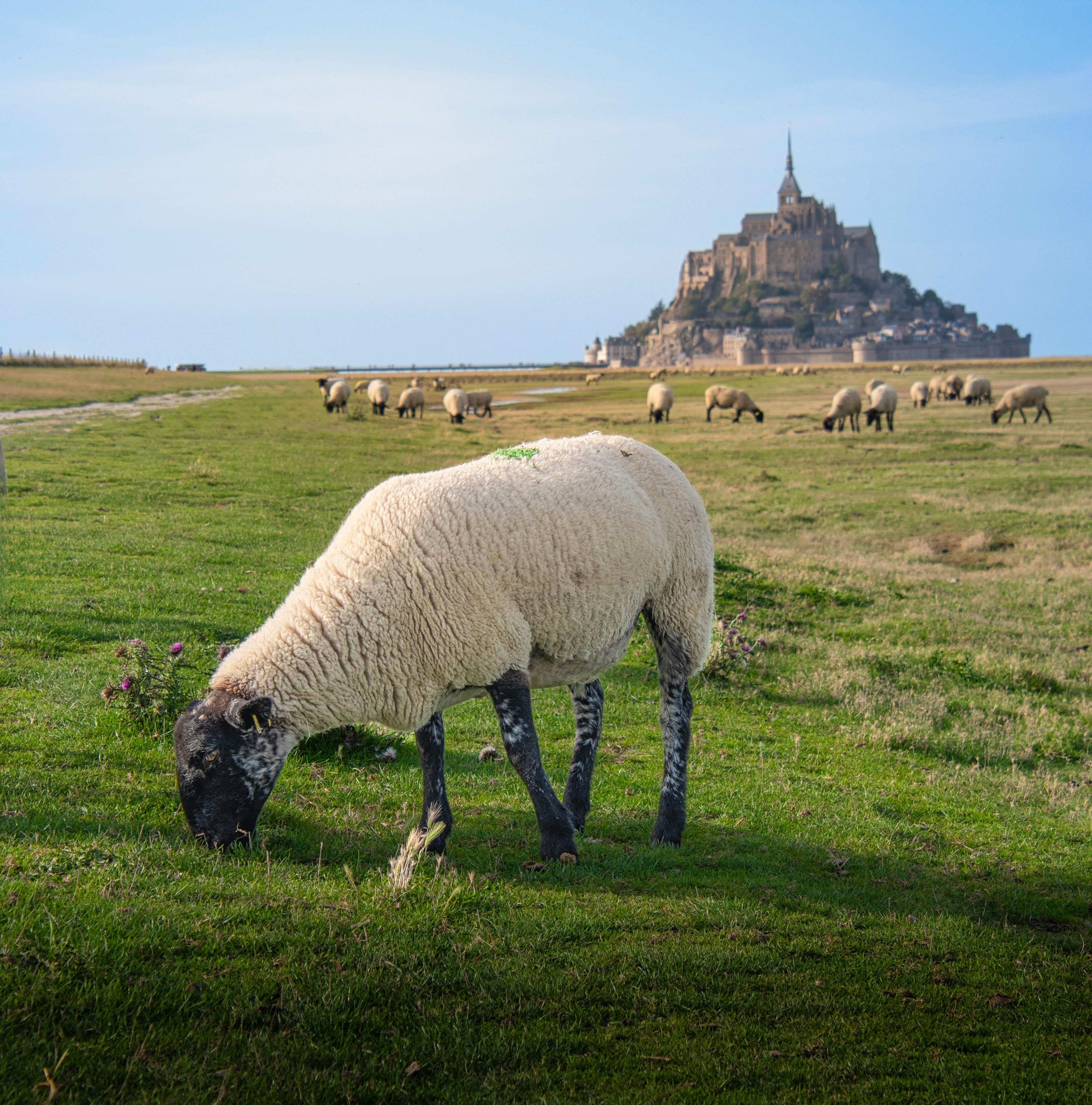 Vieilles Dames Photos, Download The BEST Free Vieilles Dames Stock ...