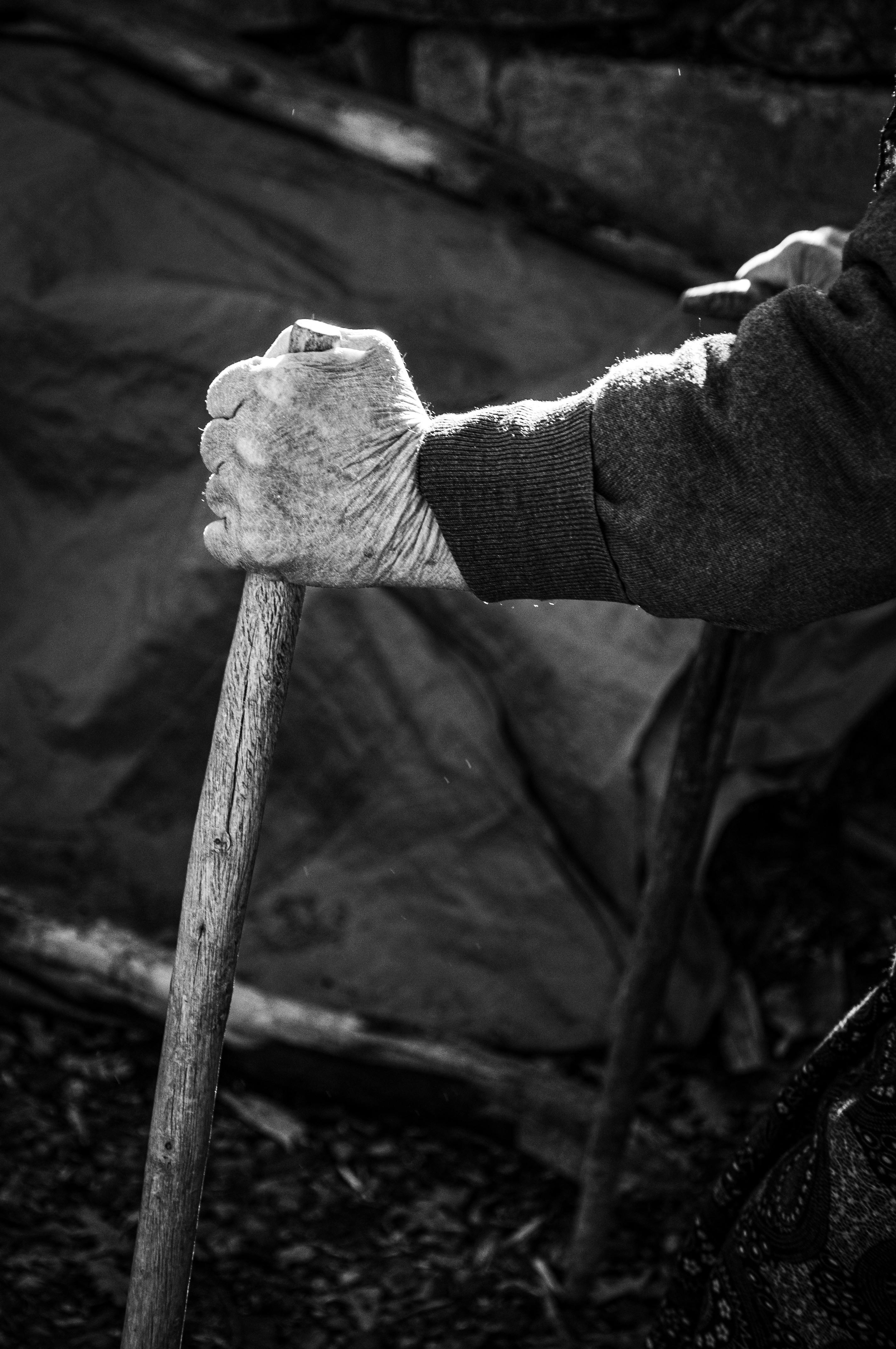 Support Sticks Photos, Download The BEST Free Support Sticks Stock ...