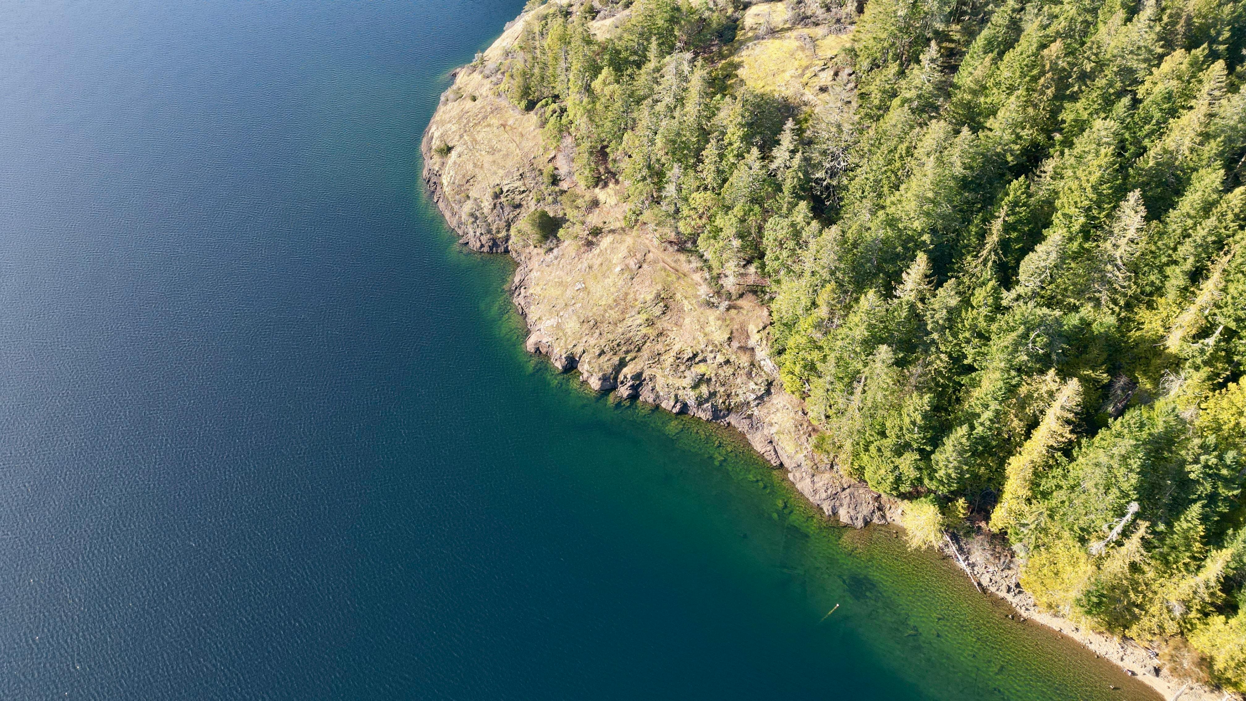 Aerial view of forested coastline and blue water · Free Stock Photo