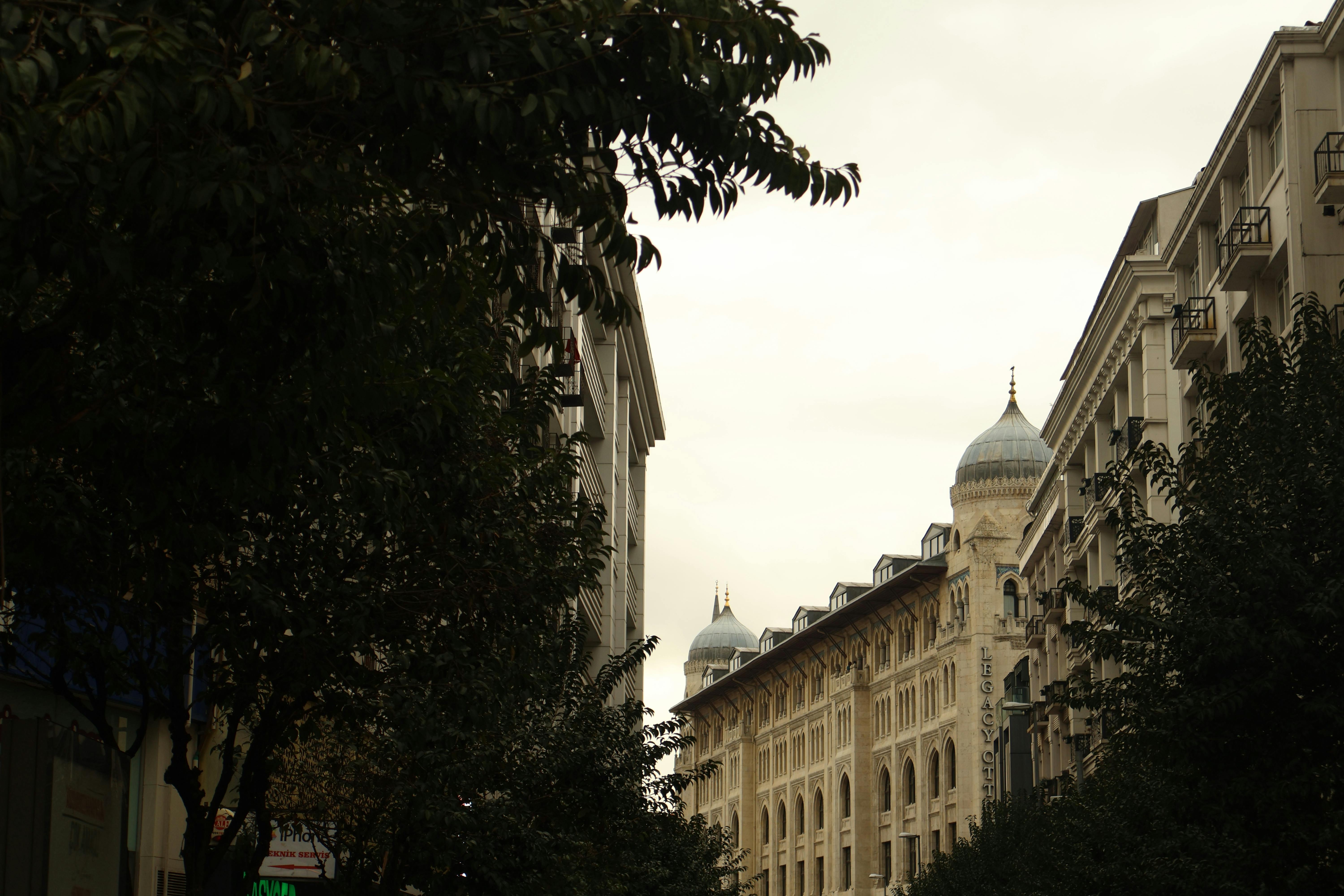 Leave Legacy Photos, Download The BEST Free Leave Legacy Stock Photos ...