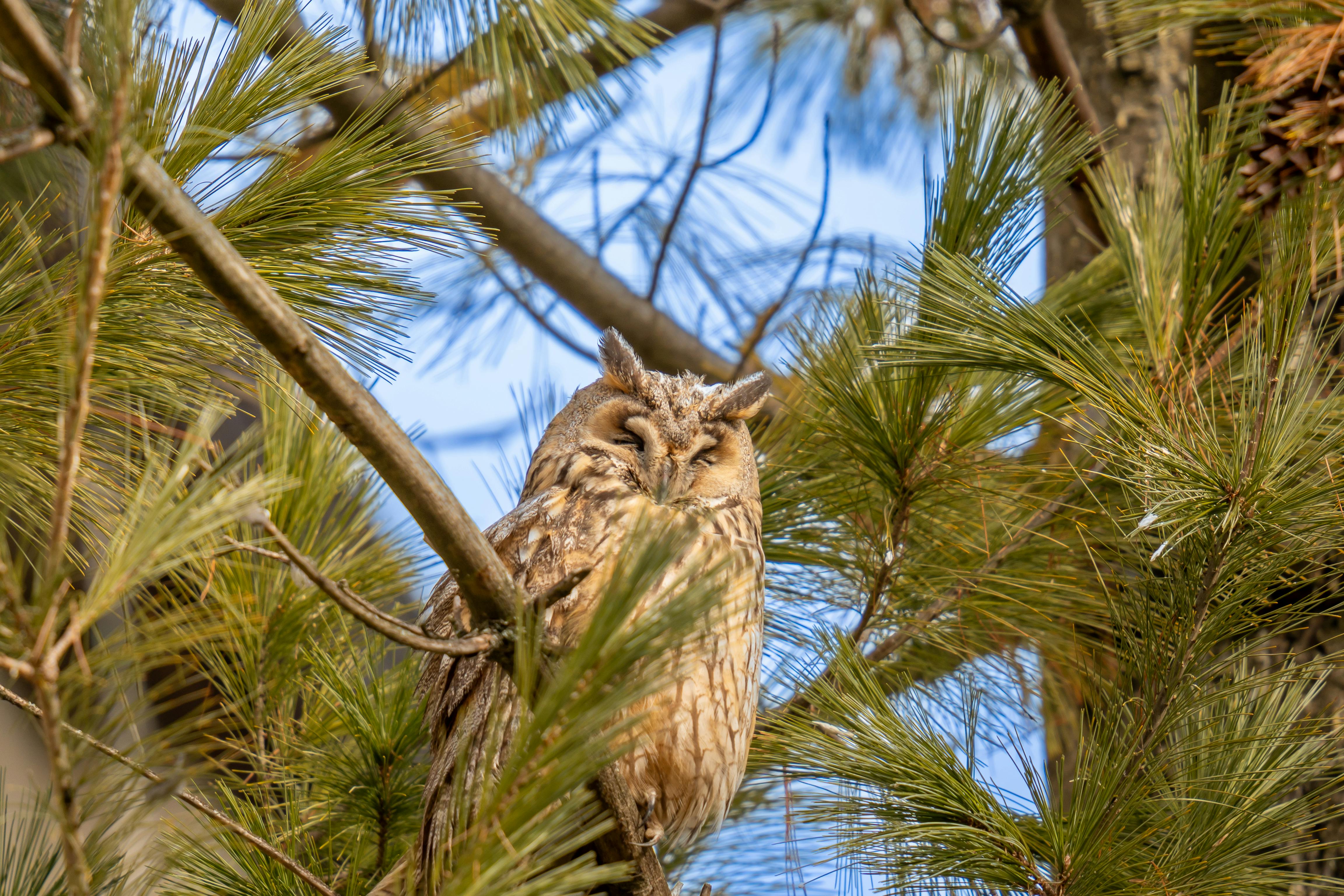 Cele mai bune 100+ fotografii cu tema วอลล์เปเปอร์สดสำหรับแล็ปท็อป Asio ...