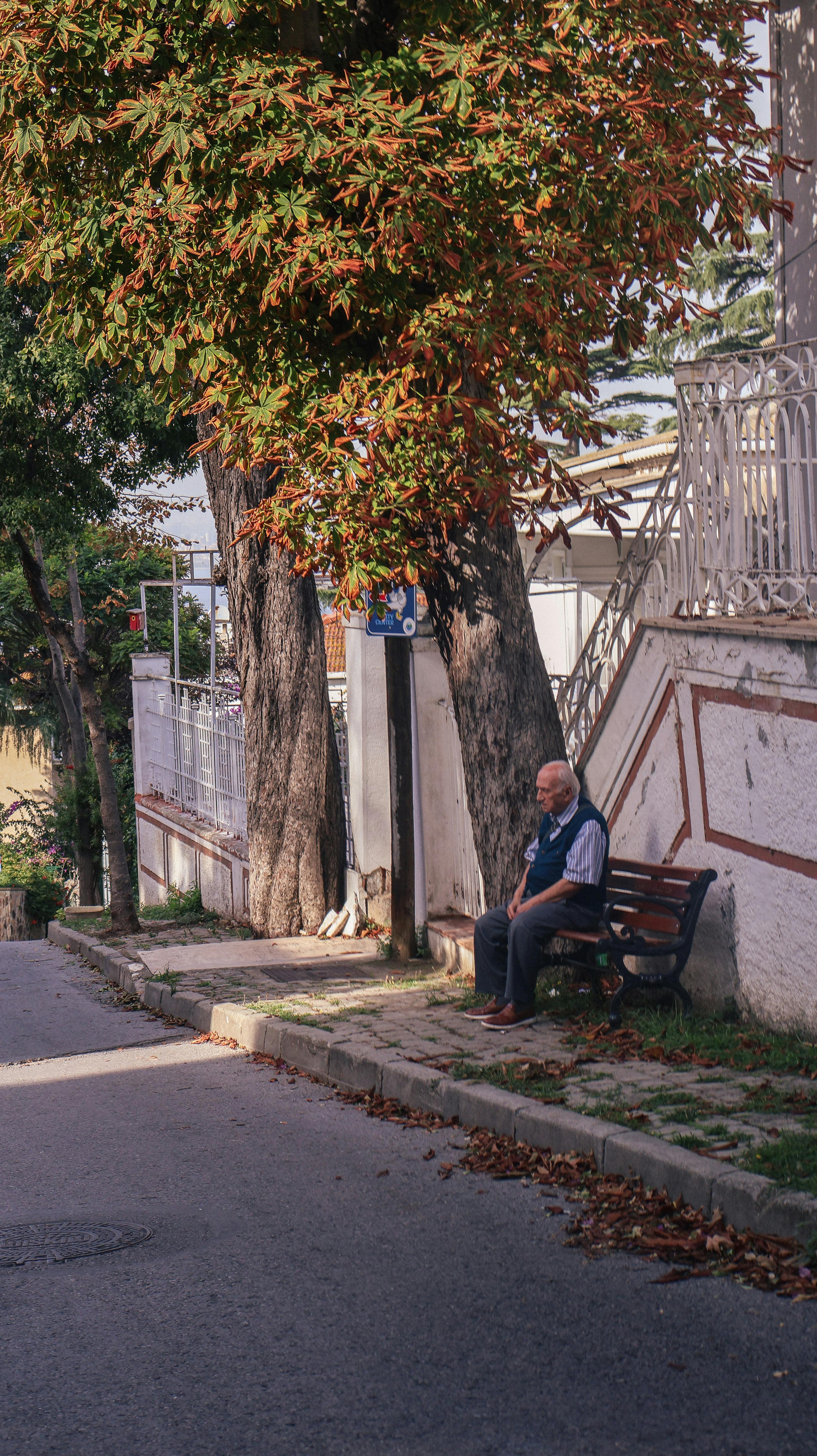 Serene Moment on İstanbul Street Bench · Free Stock Photo