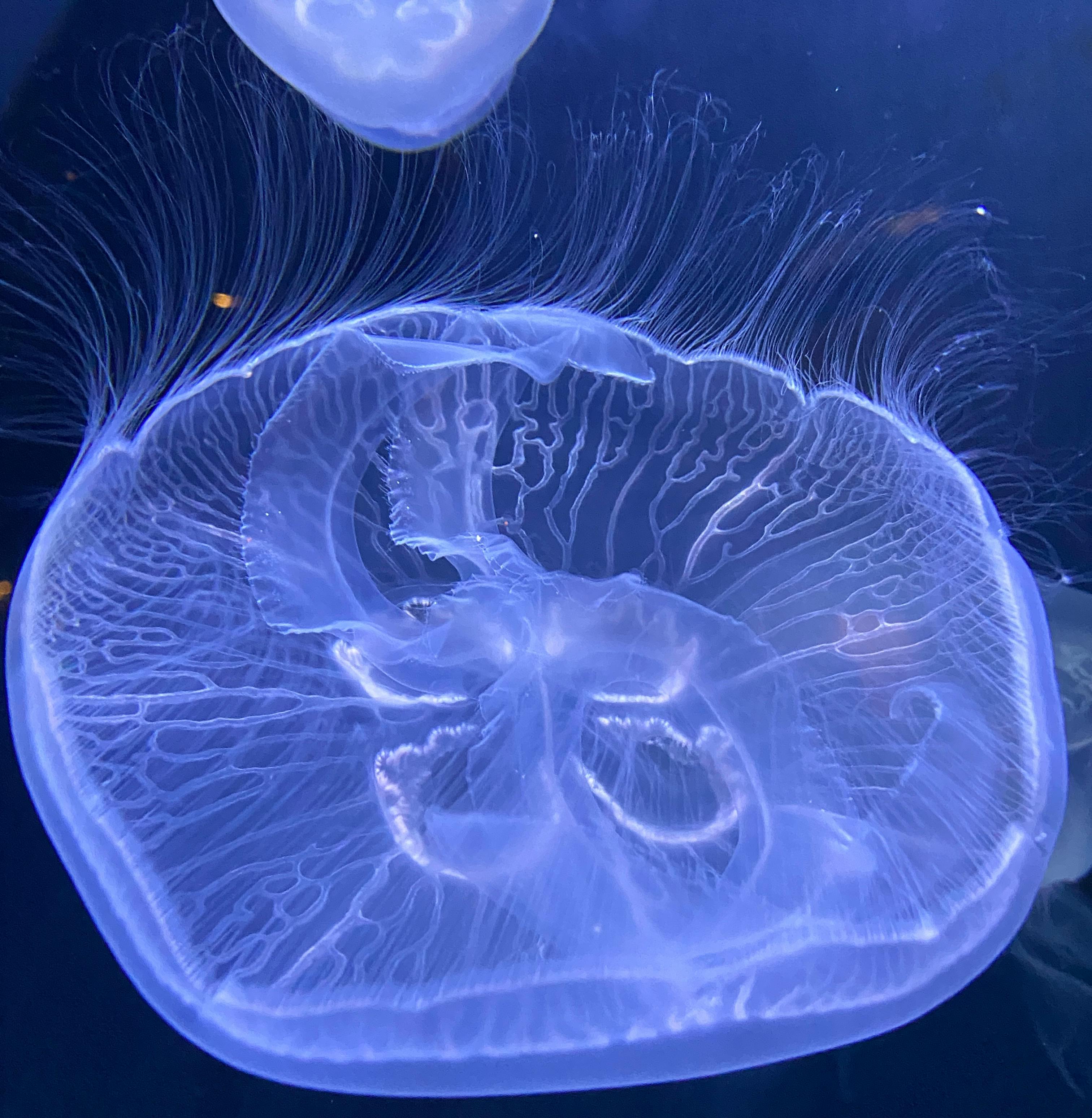 Xx18+Video Photos, Download The BEST Free Xx18+Video Stock Photos & HD ...