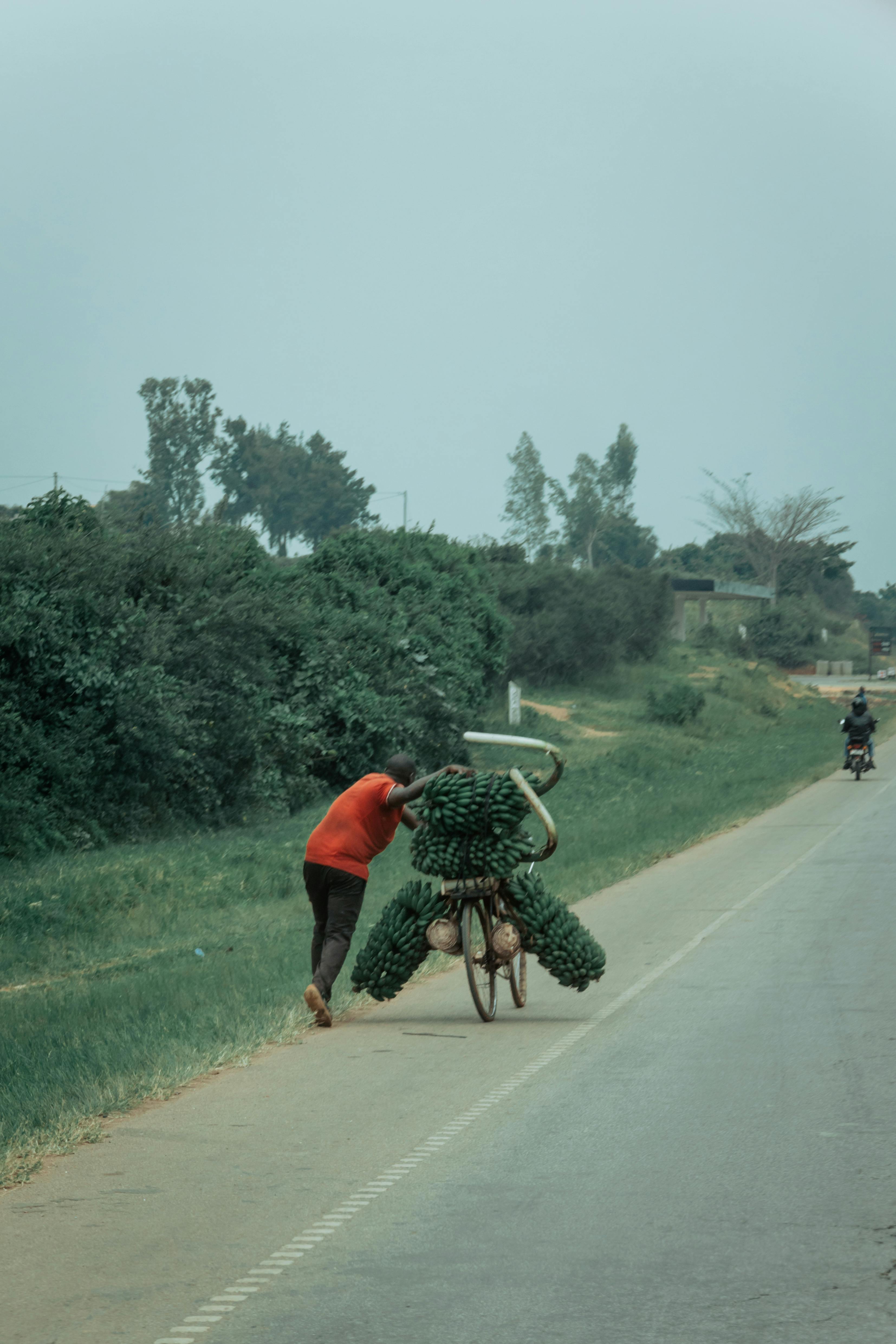 Push Pull Train Photos, Download The BEST Free Push Pull Train Stock ...