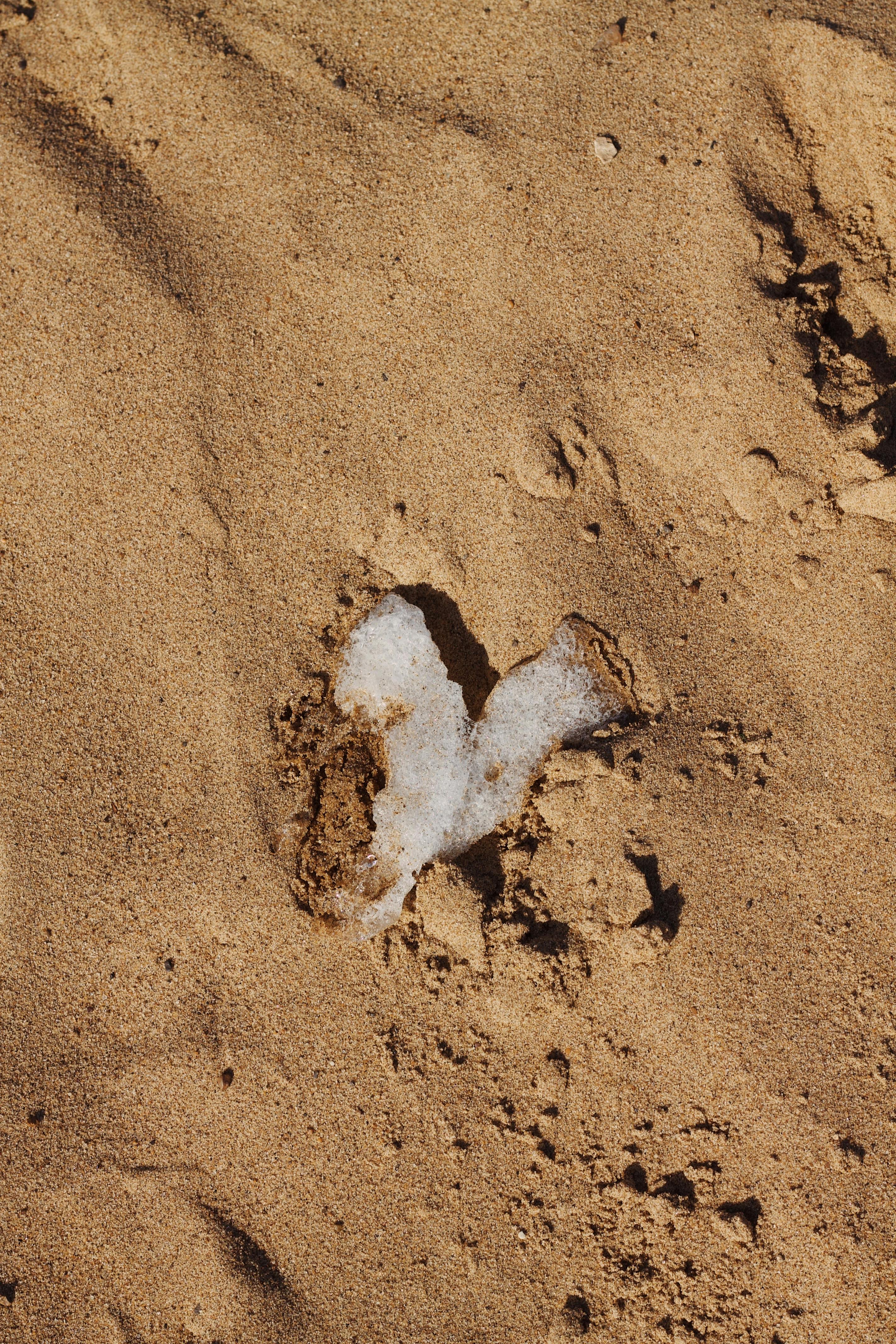 Texas Cold Snap After Warm Weather: Shocking Weather Shift Explained