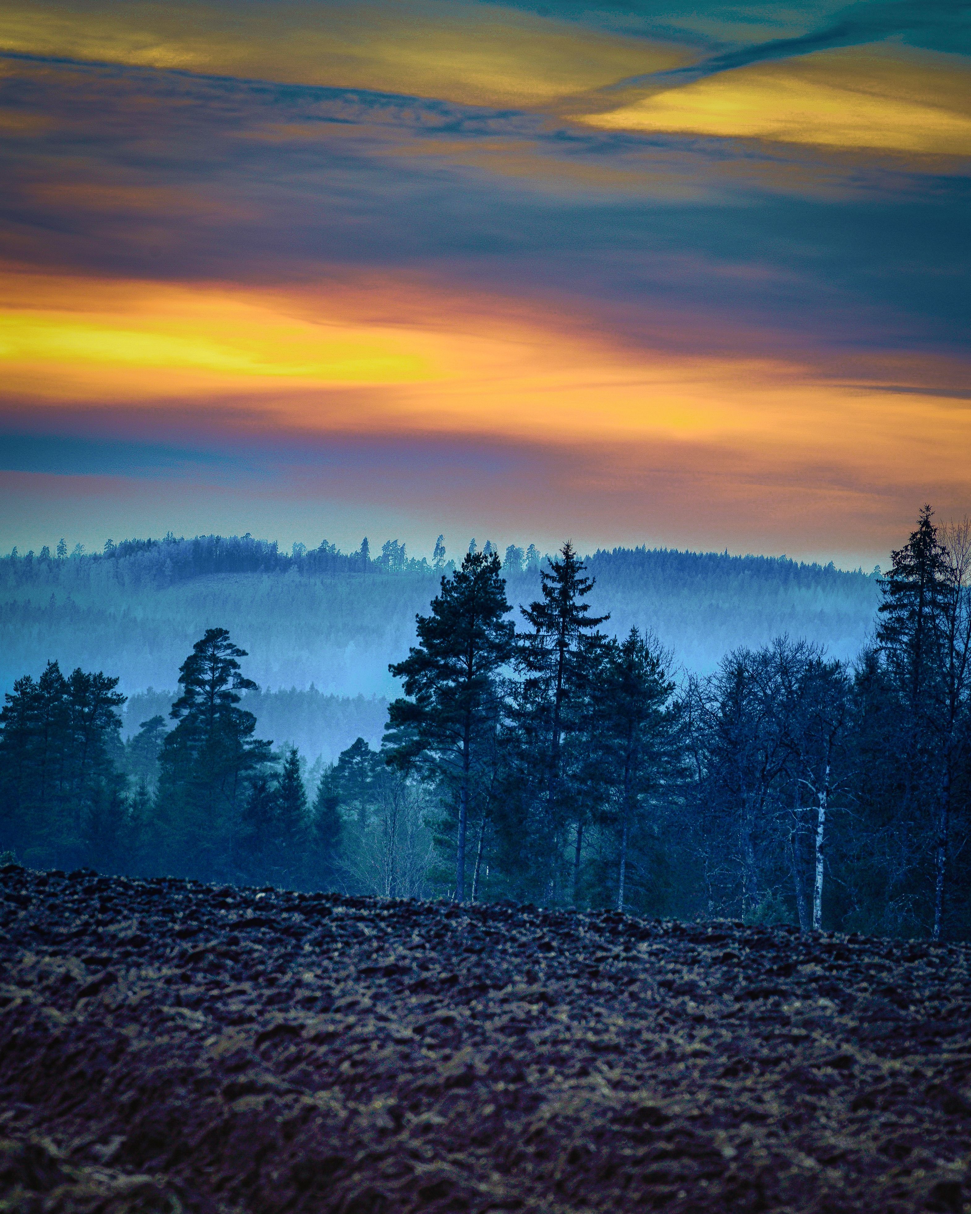 Vibrant Sunset Over Misty Woodland Landscape · Free Stock Photo