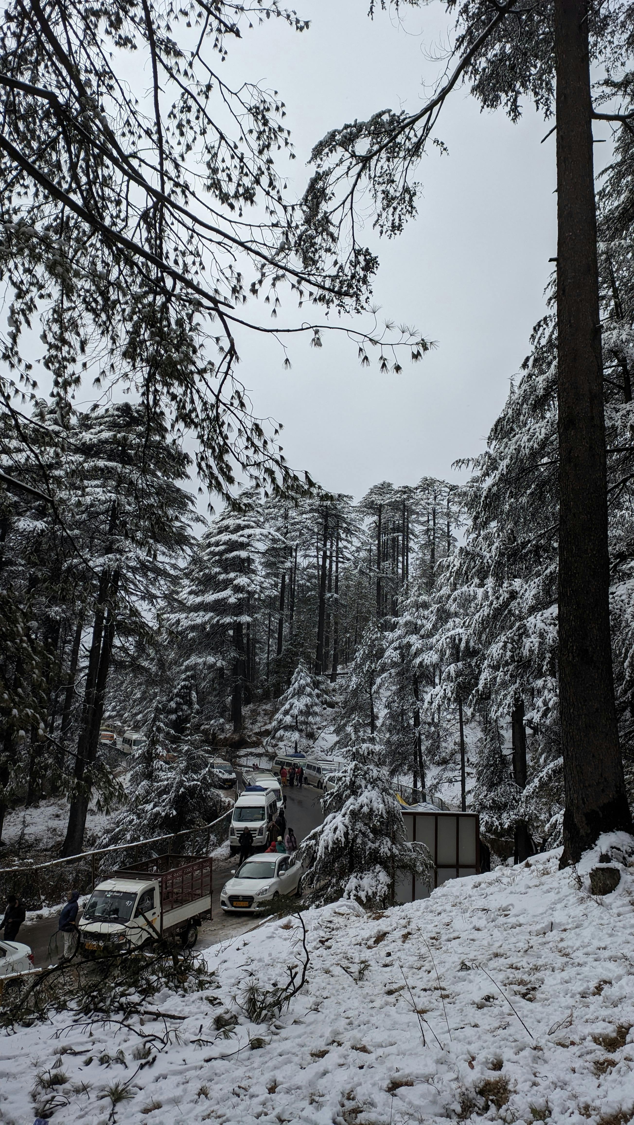 Cold+Pfp Photos, Download The BEST Free Cold+Pfp Stock Photos & HD Images