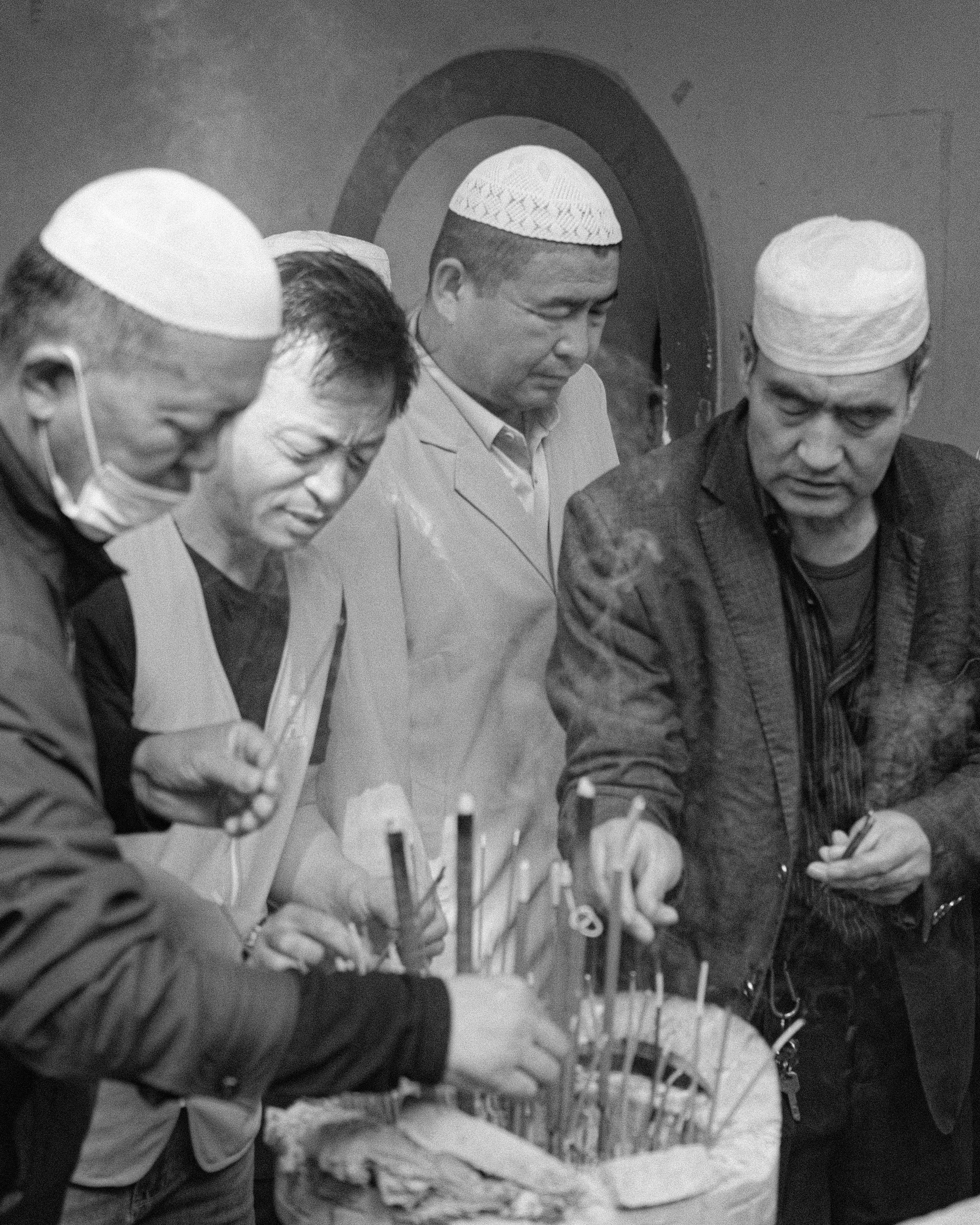 Meme Collective Photos, Download The BEST Free Meme Collective Stock ...