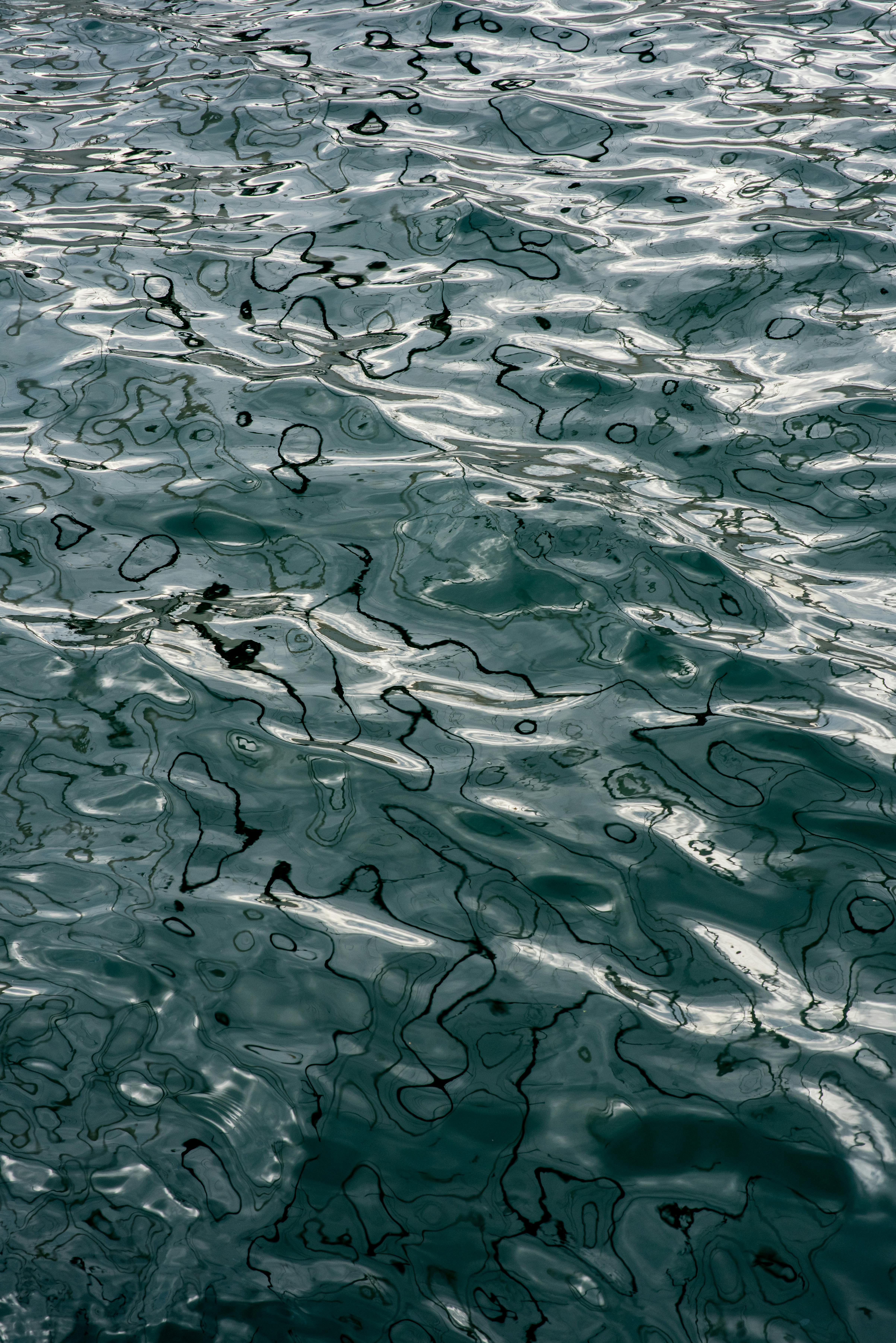 Water Ripple · Free Stock Photo