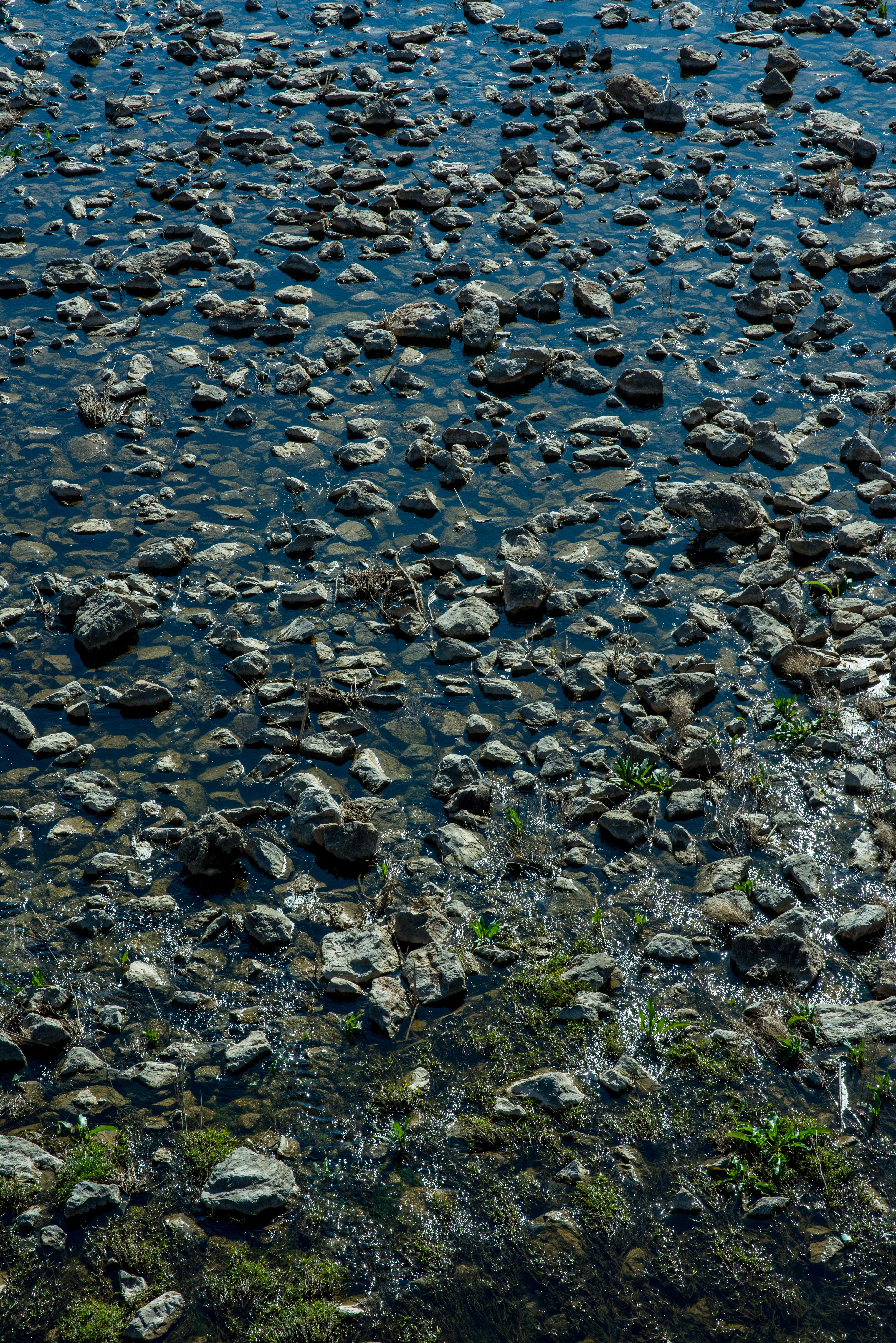 Rocky Riverbed with Sunlit Water and Algae · Free Stock Photo