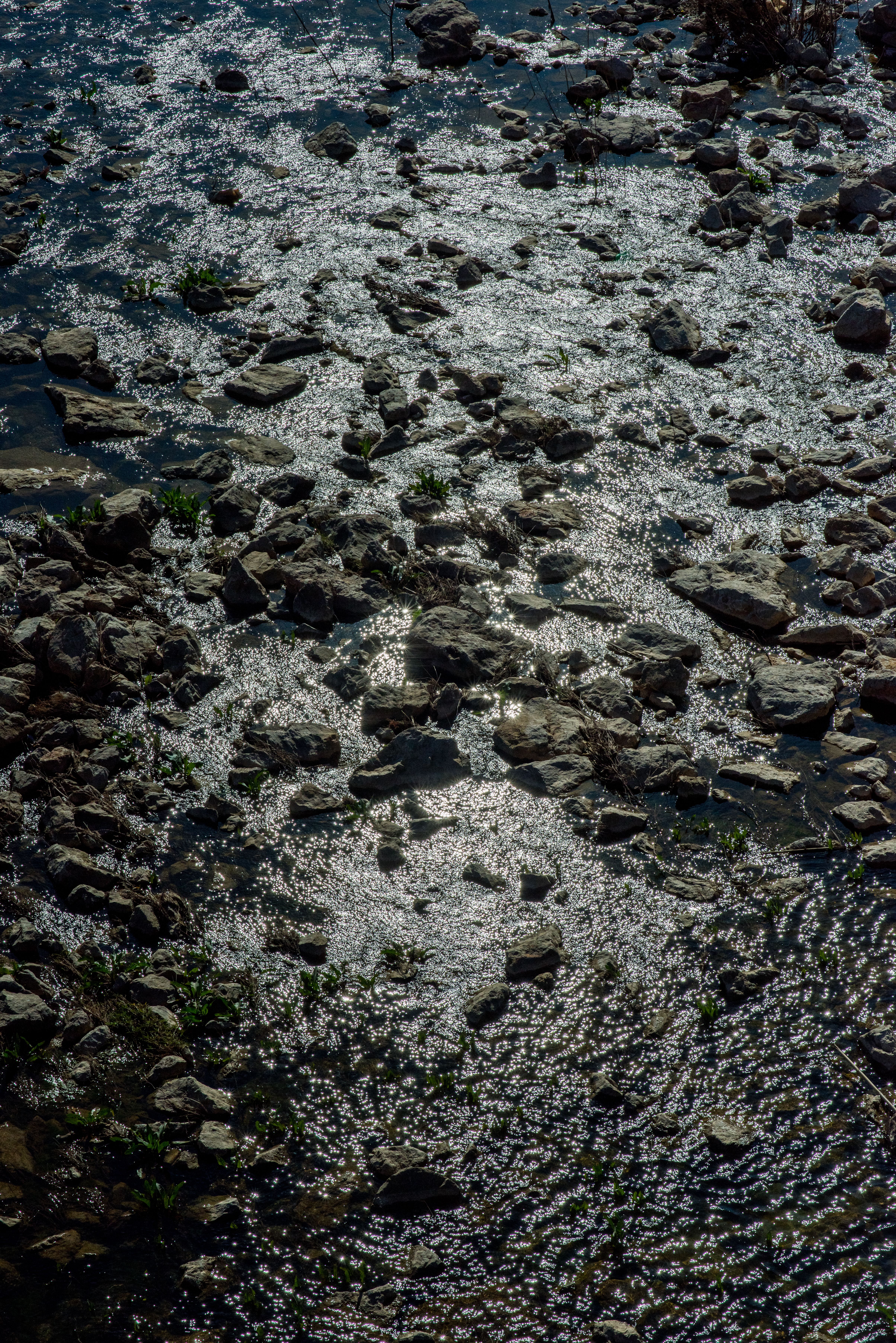 Sparkling River Stones in Sunlit Stream · Free Stock Photo