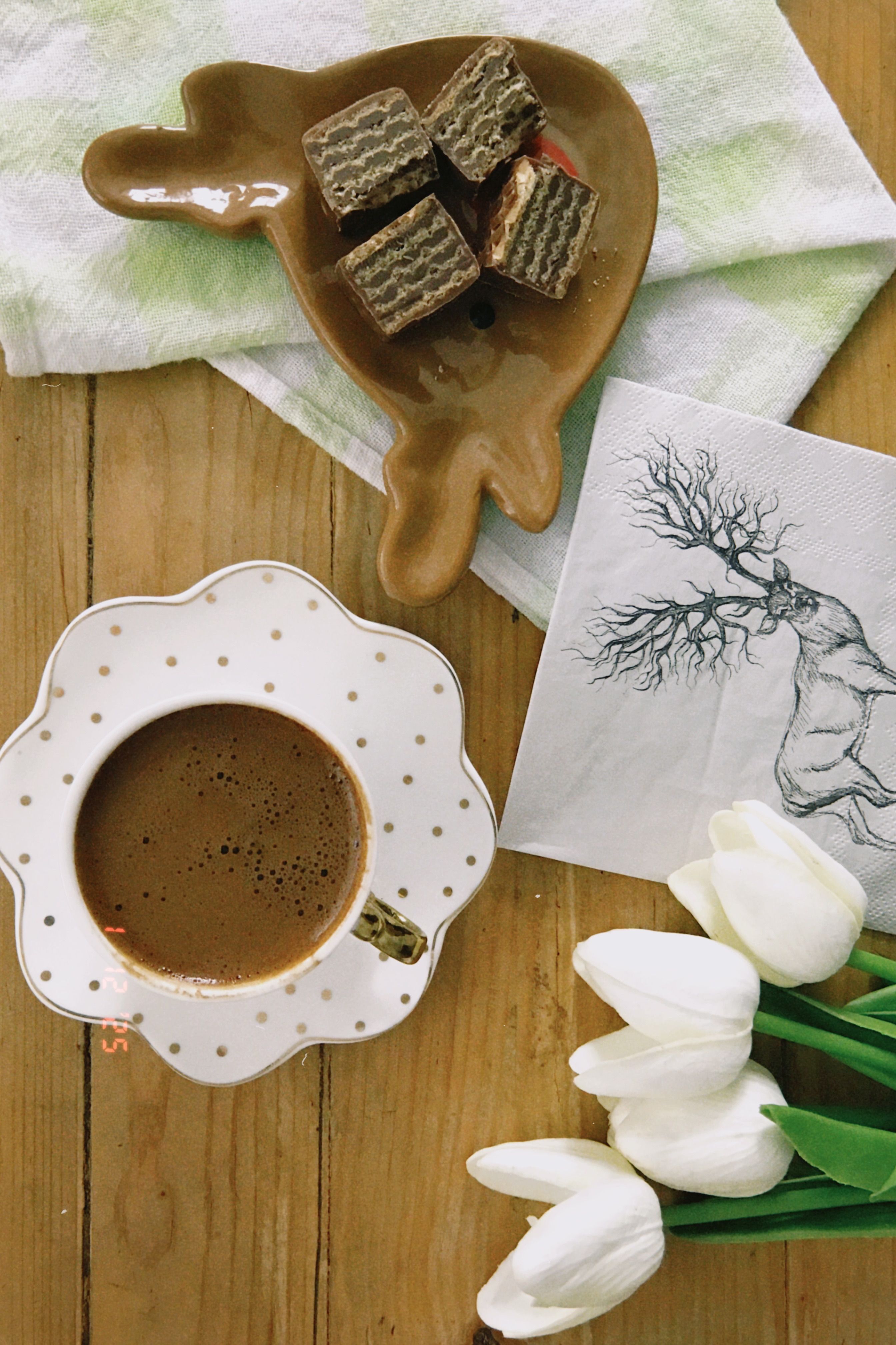 Passportdrawing Photos Download The Best Free Passportdrawing Stock 8805