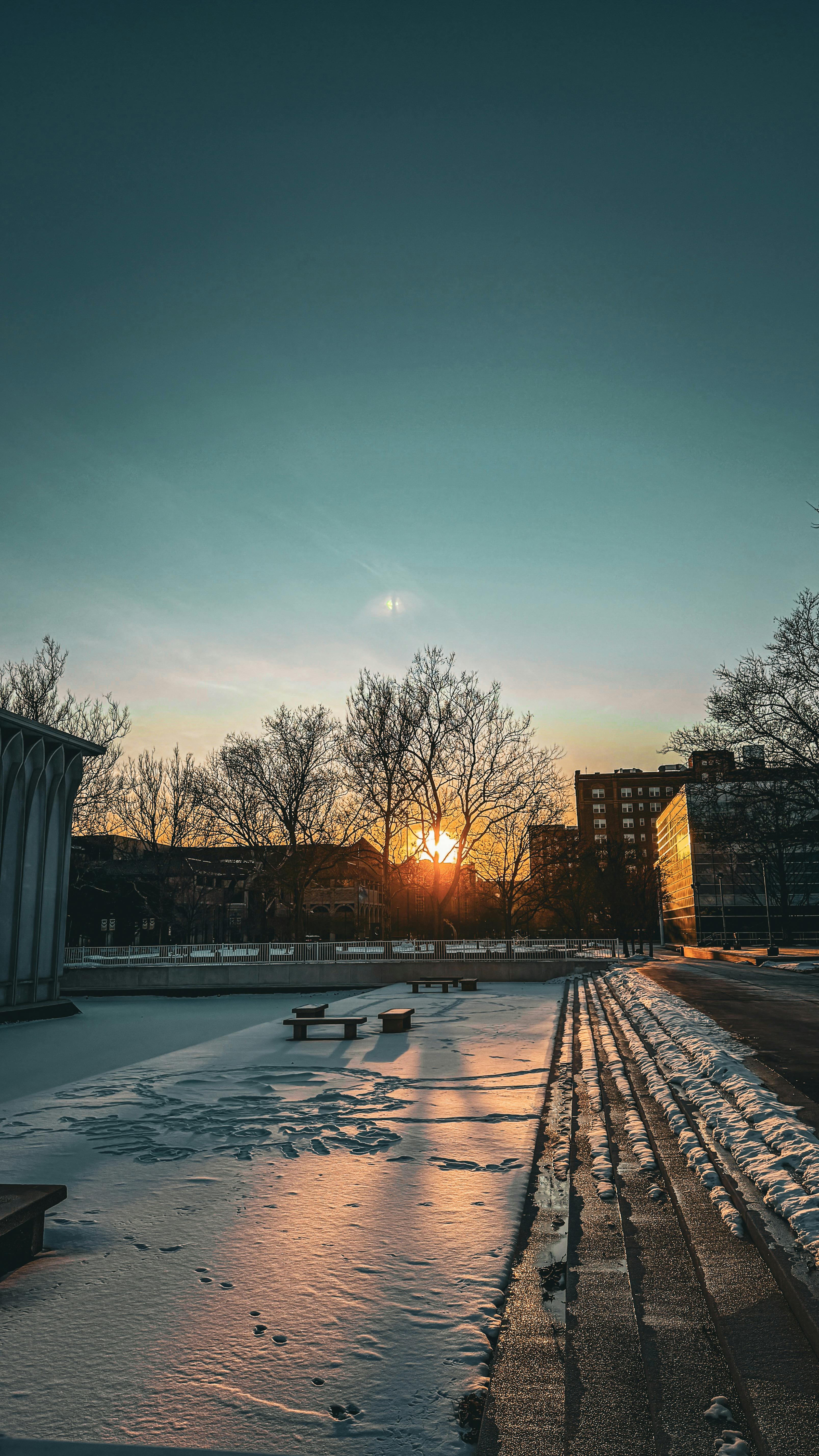 Cold Park Photos, Download The BEST Free Cold Park Stock Photos & HD Images