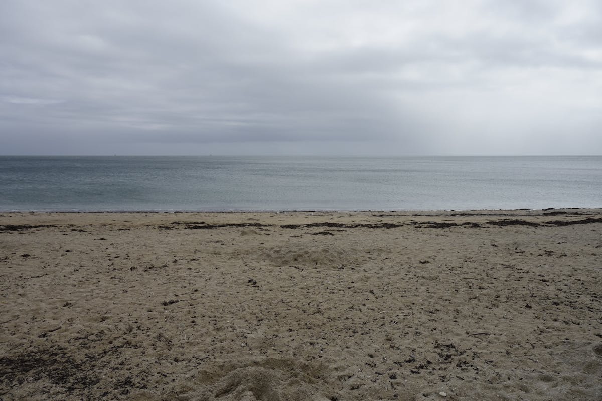 Beach Scenes Photos, Download The BEST Free Beach Scenes Stock Photos ...