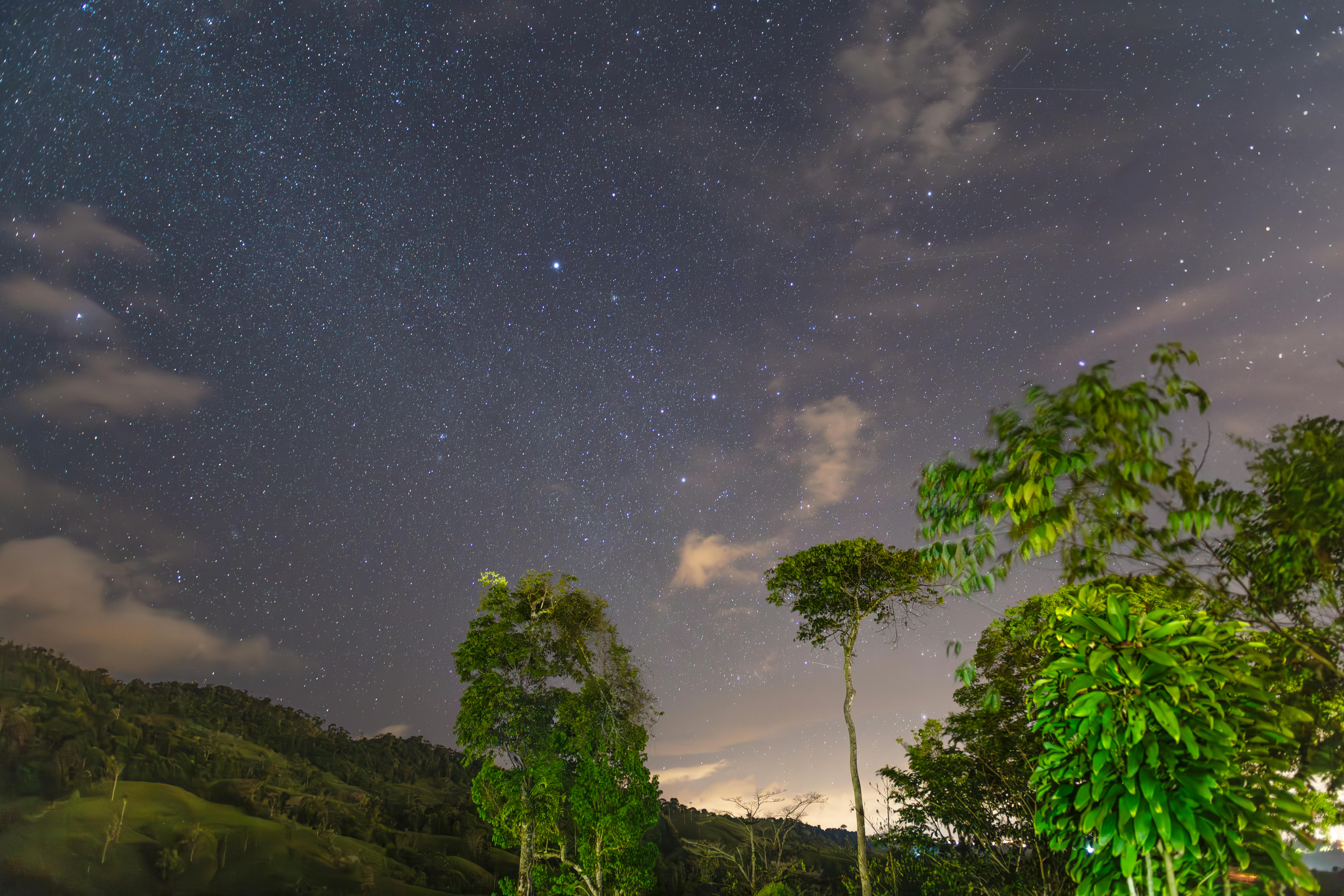Starry Night Sky Over Costa Rican Forest · Free Stock Photo