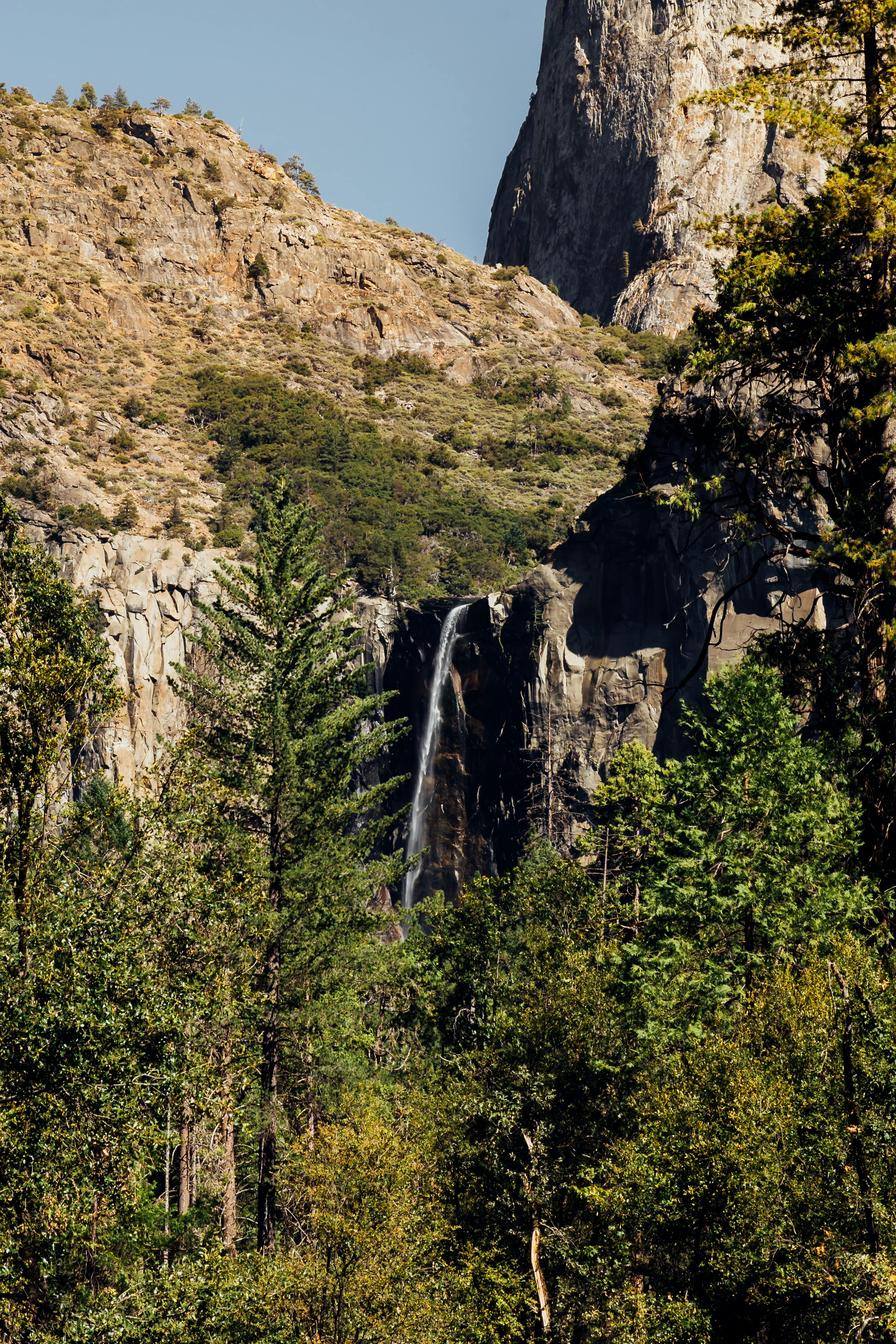 View Of Green Trees and Rocky Mountain Cliffs · Free Stock Photo