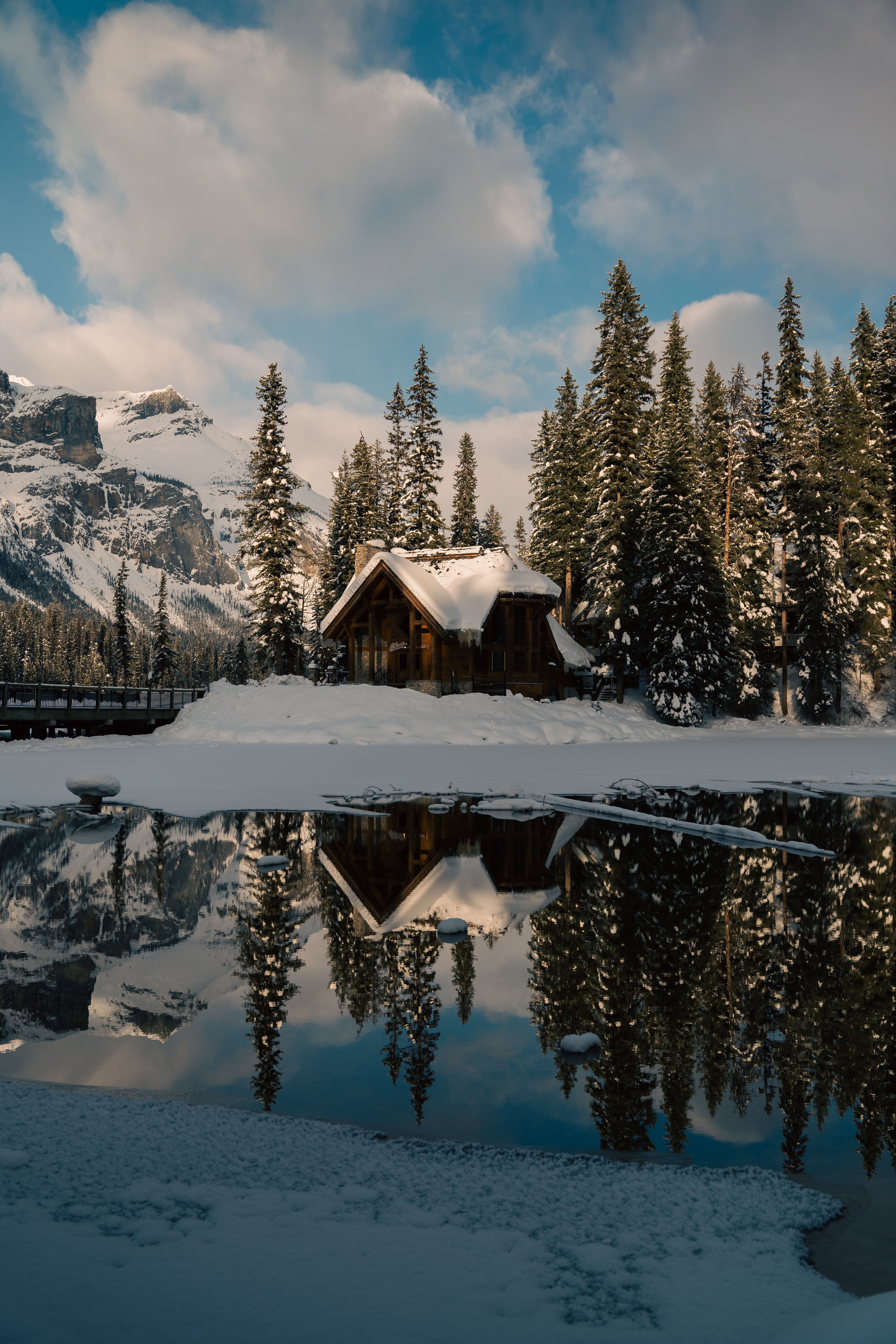 Scenic Winter Landscape in Field, BC, Canada · Free Stock Photo