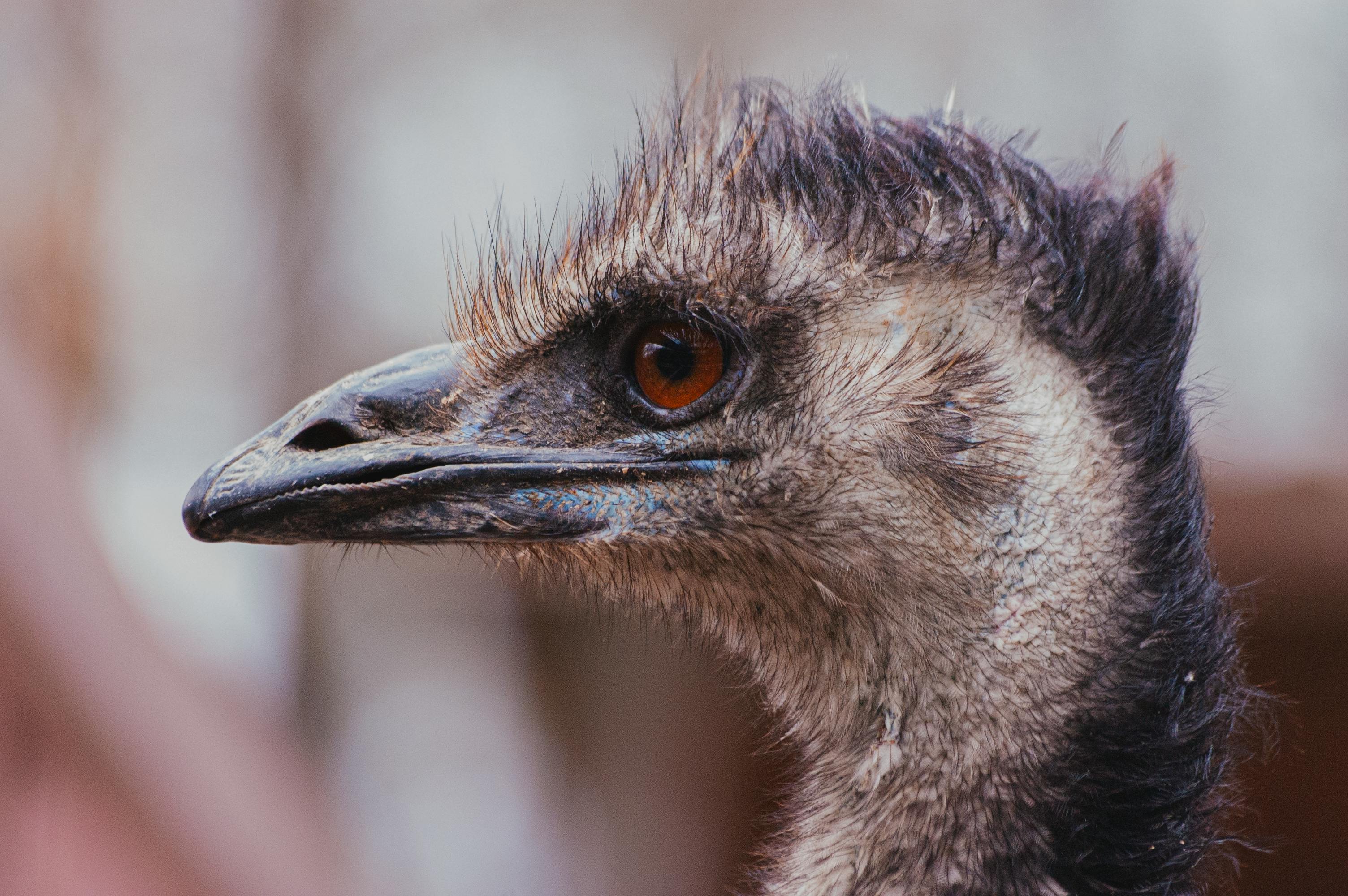 Big Jug Photos, Download The BEST Free Big Jug Stock Photos & HD Images