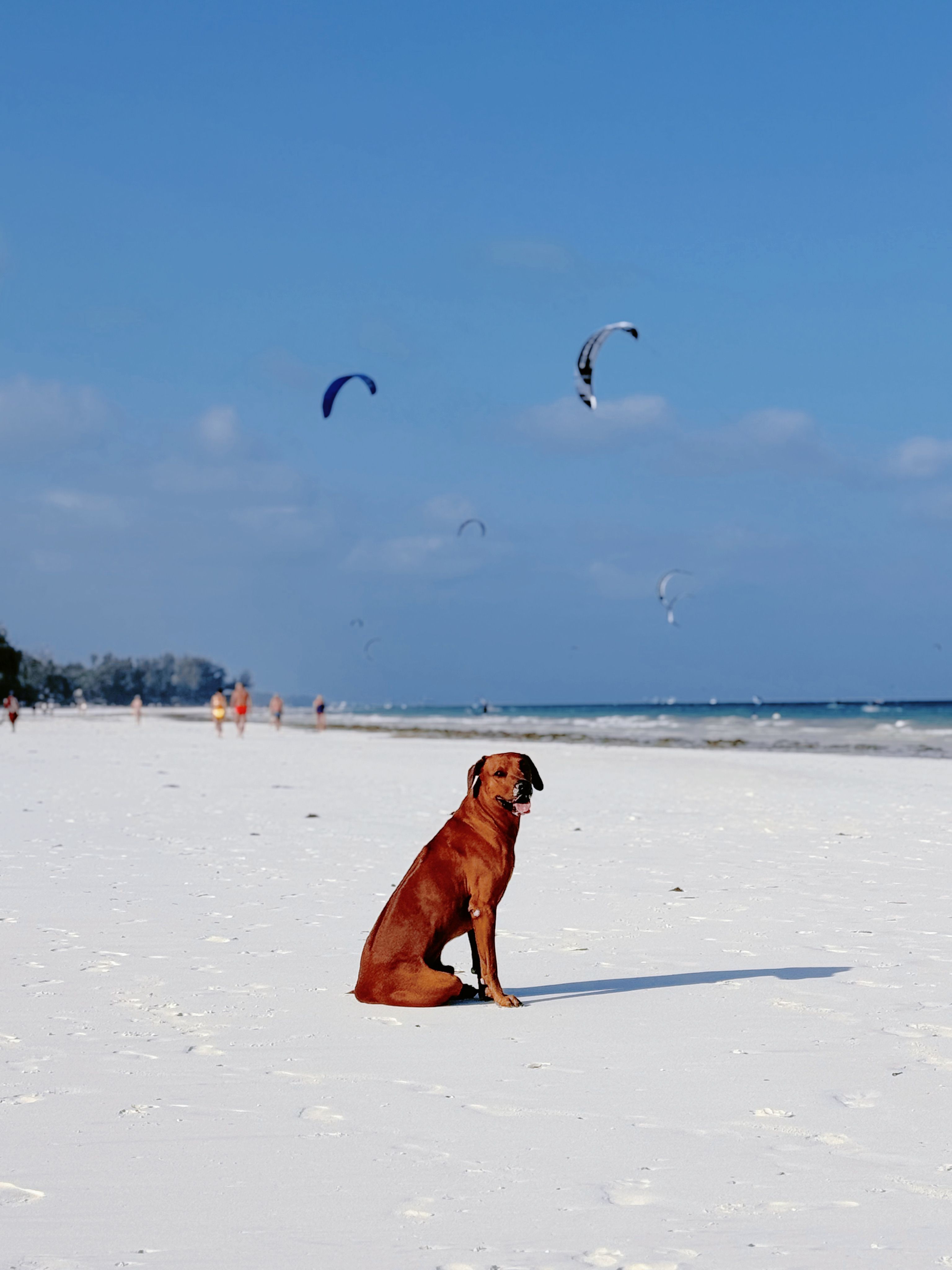 Beach Scapes Photos, Download The BEST Free Beach Scapes Stock Photos ...