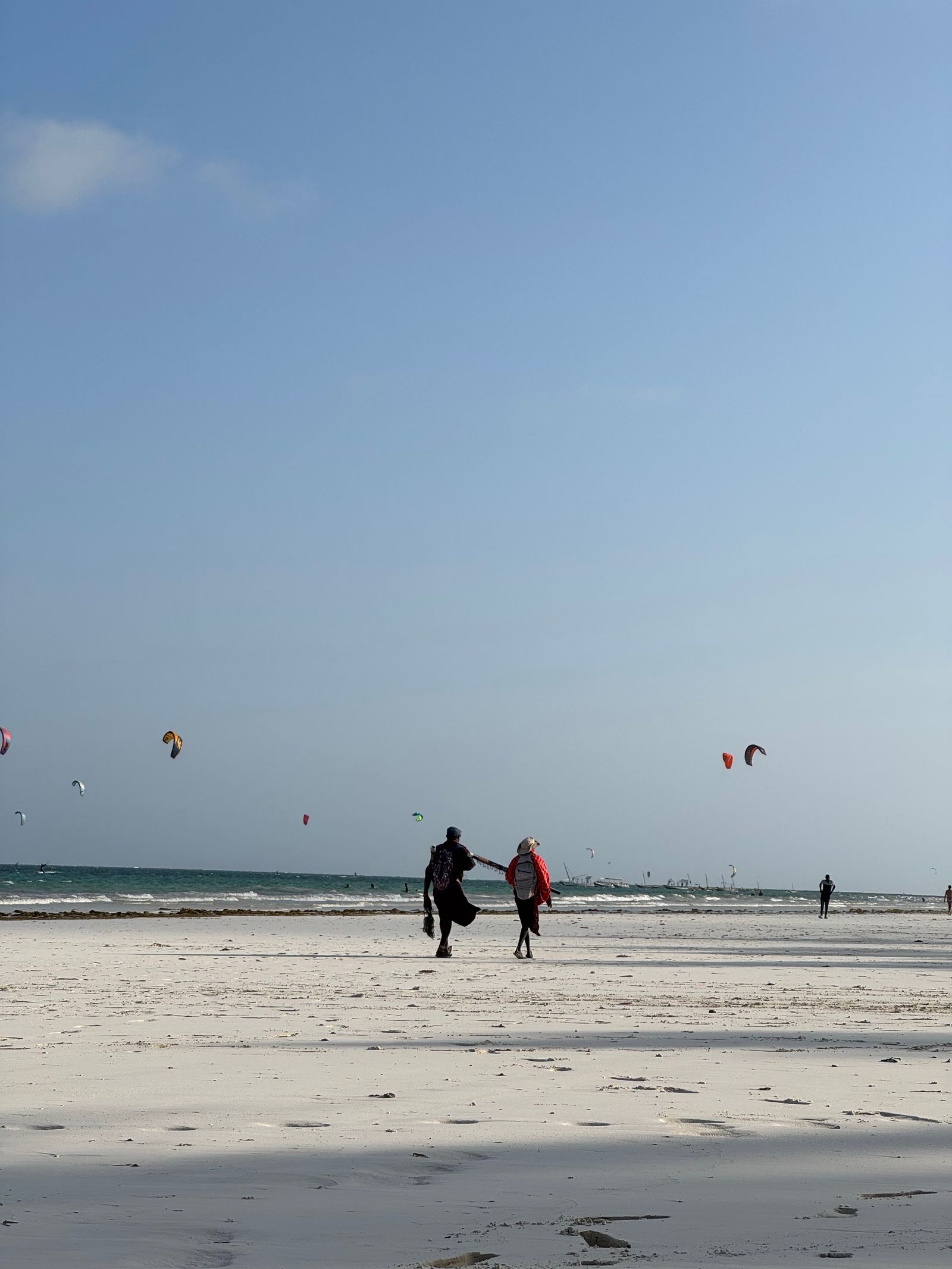 Kites Photos, Download The BEST Free Kites Stock Photos & HD Images