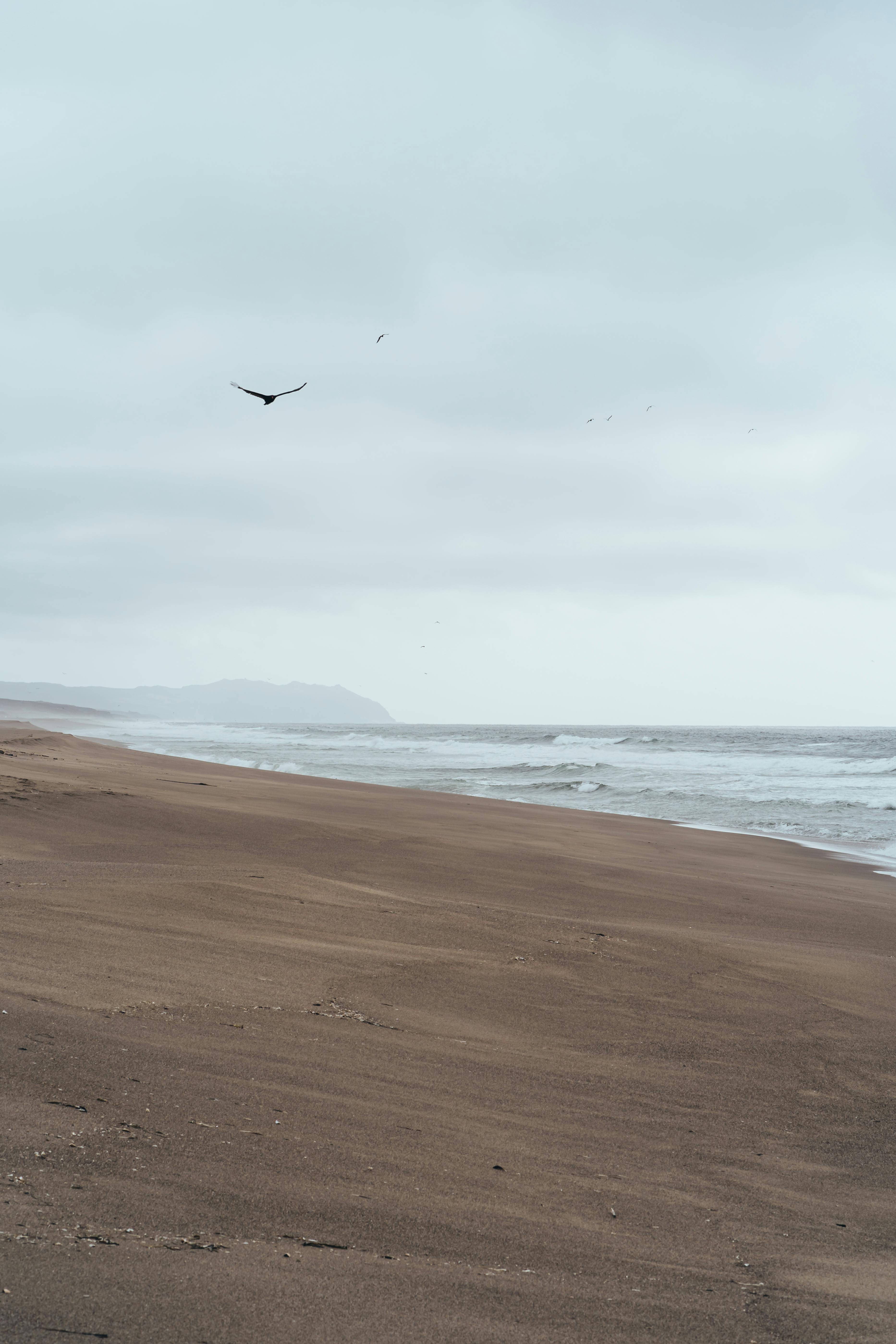 Sandy Beach Photos, Download The BEST Free Sandy Beach Stock Photos ...