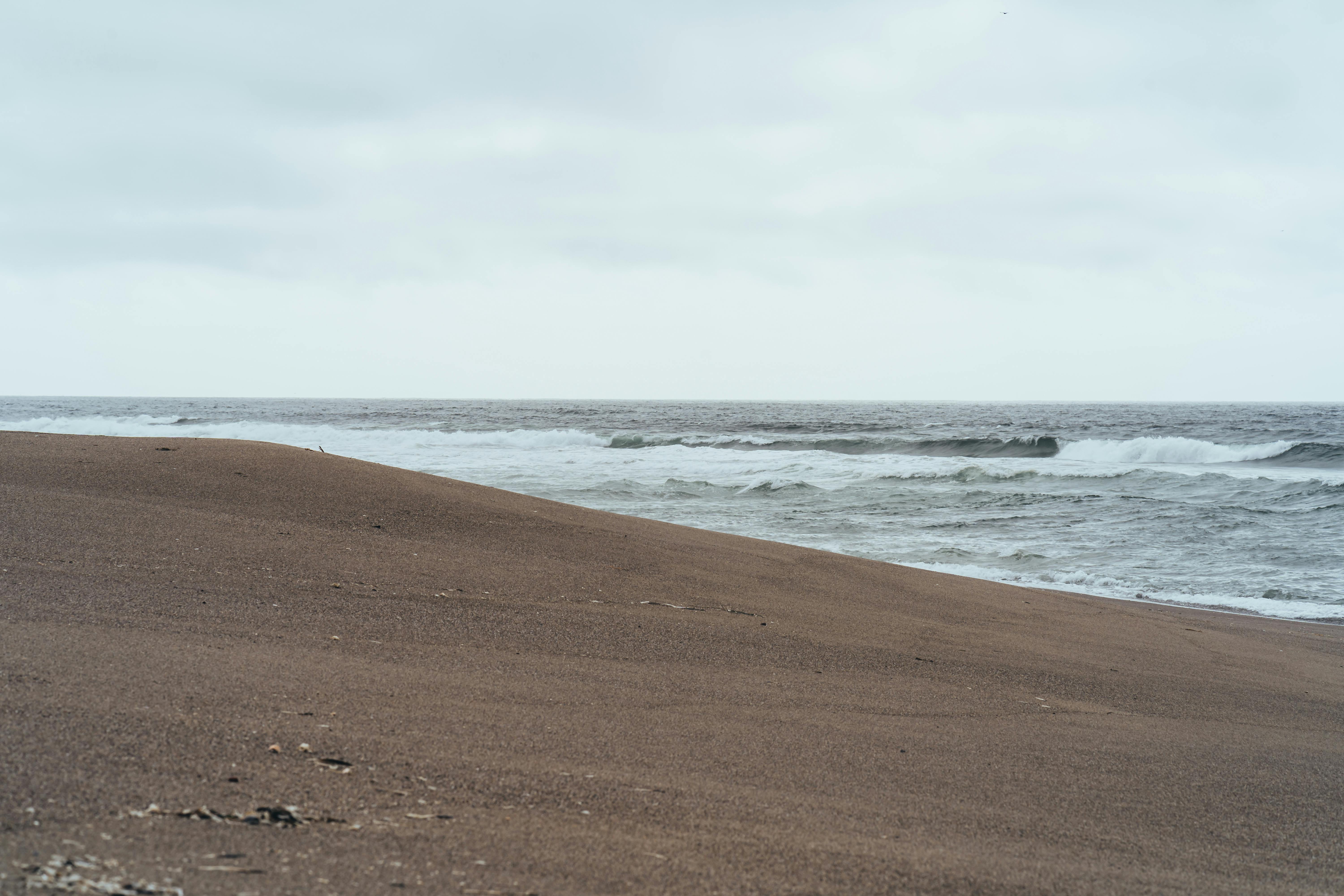 Seashore · Free Stock Photo
