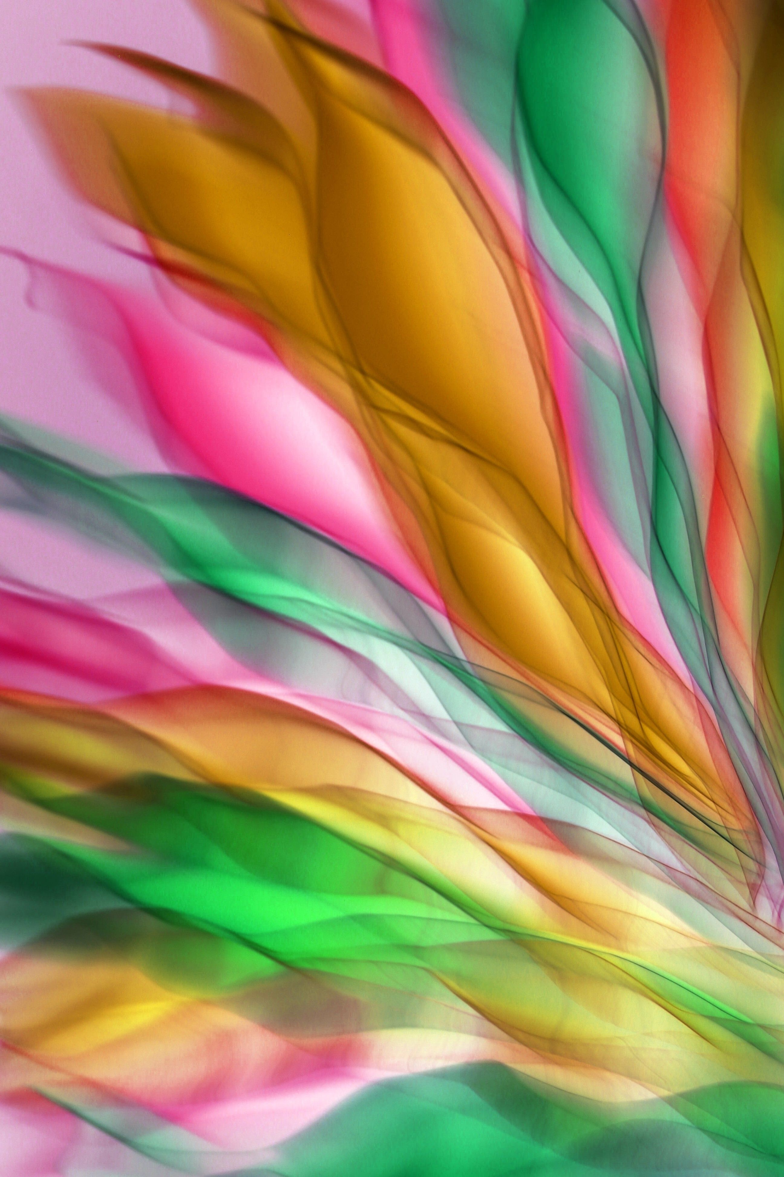 Visual Movement Photos, Download The BEST Free Visual Movement Stock ...