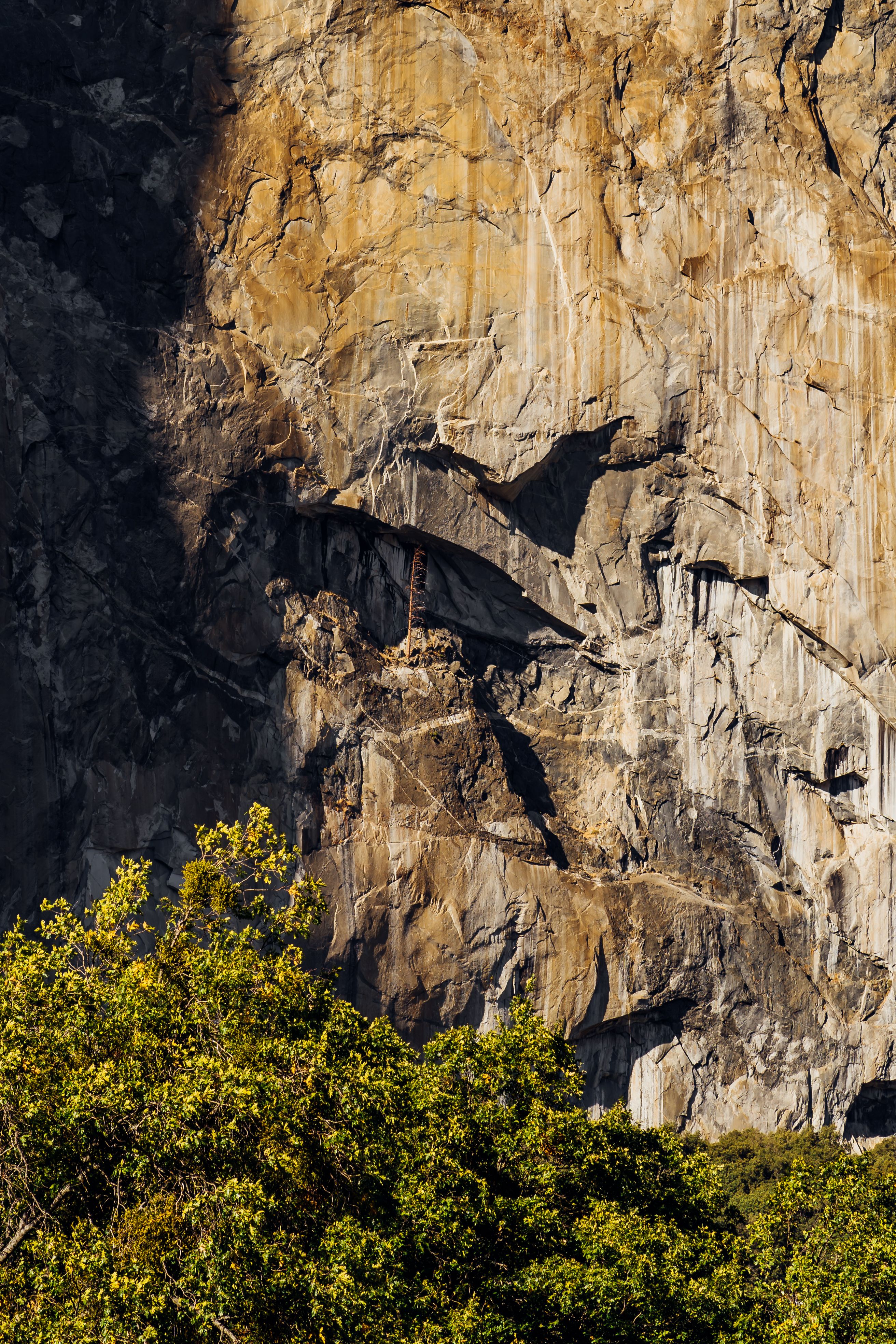Trees beside Rock Formation · Free Stock Photo
