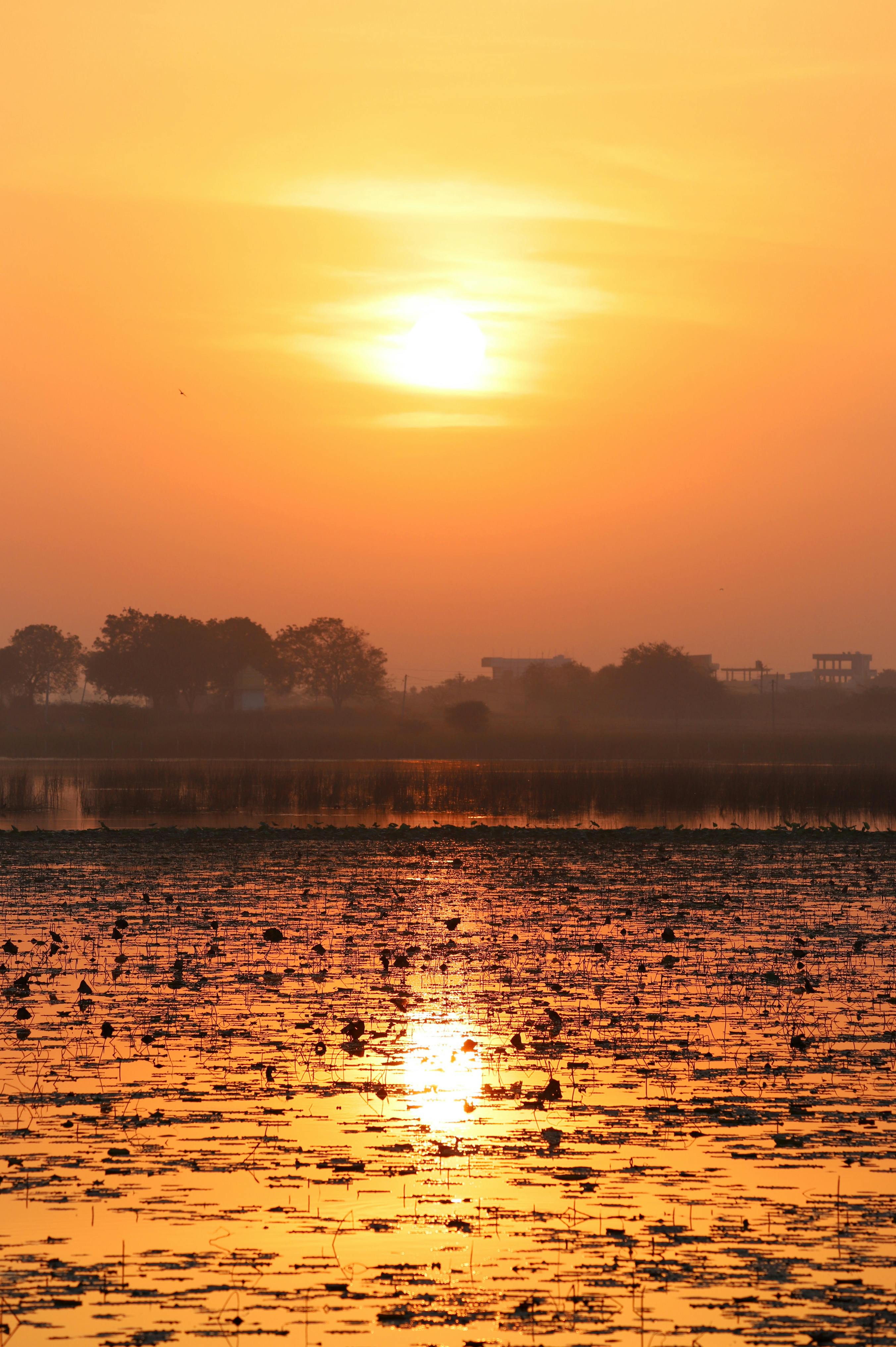 Puesta De Sol Serena Sobre Humedales Tranquilos · Foto de stock gratuita