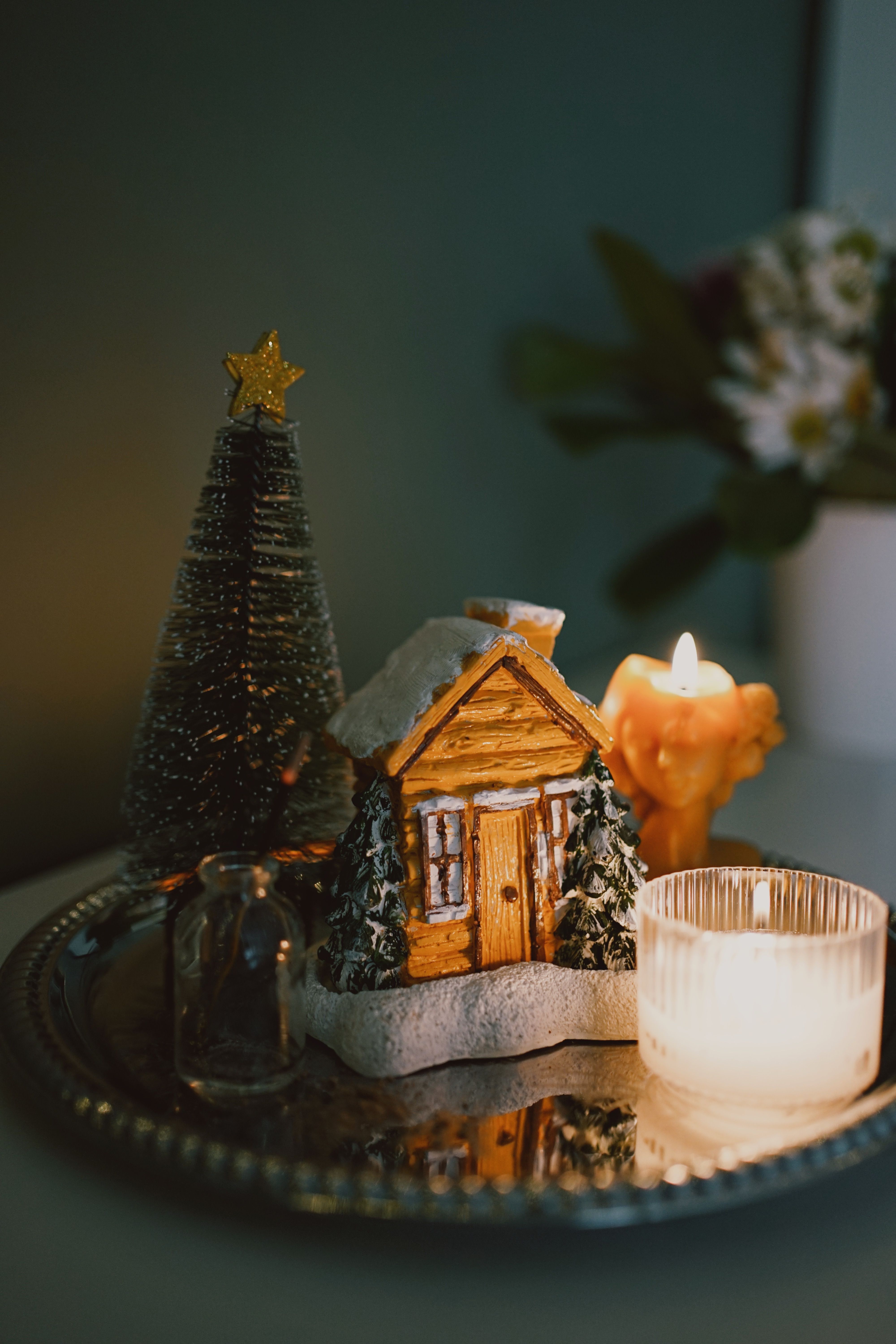 Melt Tree Photos, Download The BEST Free Melt Tree Stock Photos & HD Images