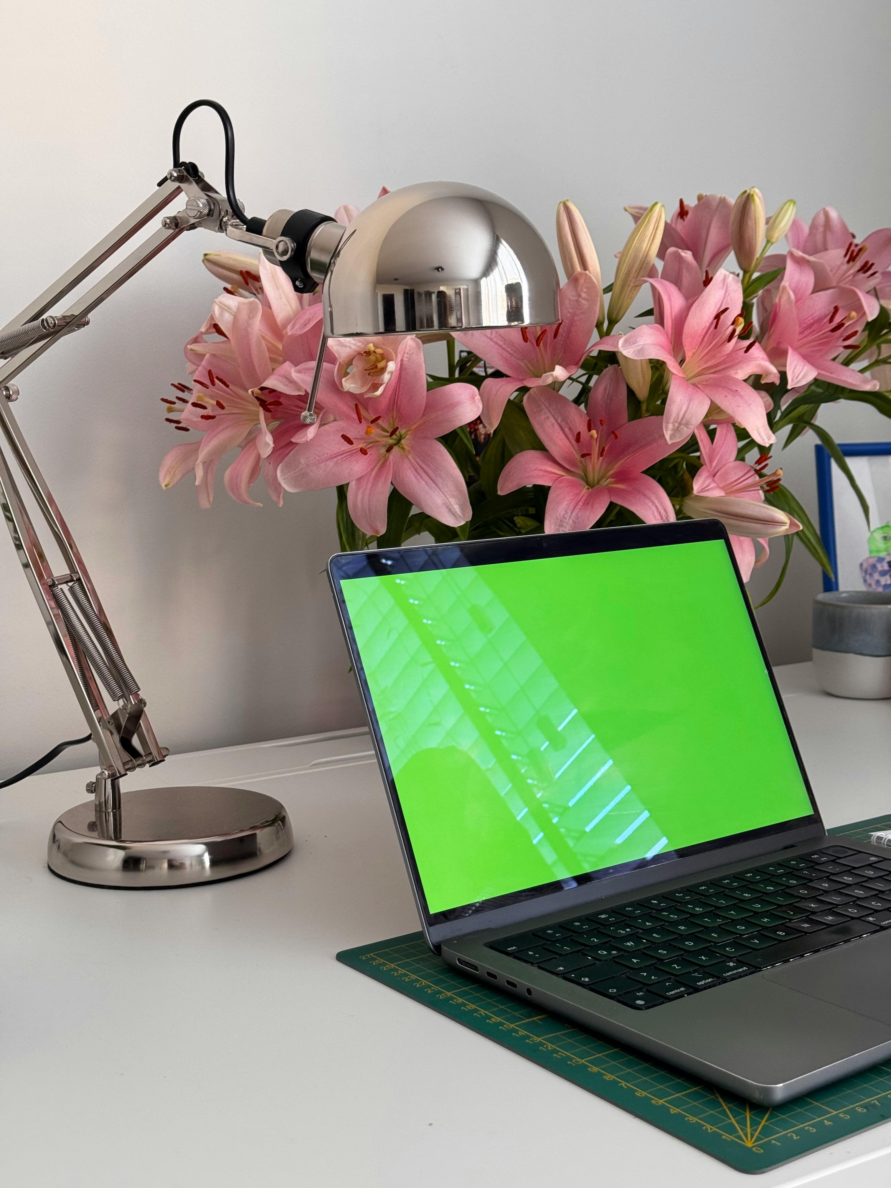 Modern Workspace with Green Screen Laptop and Lilies · Free Stock Photo
