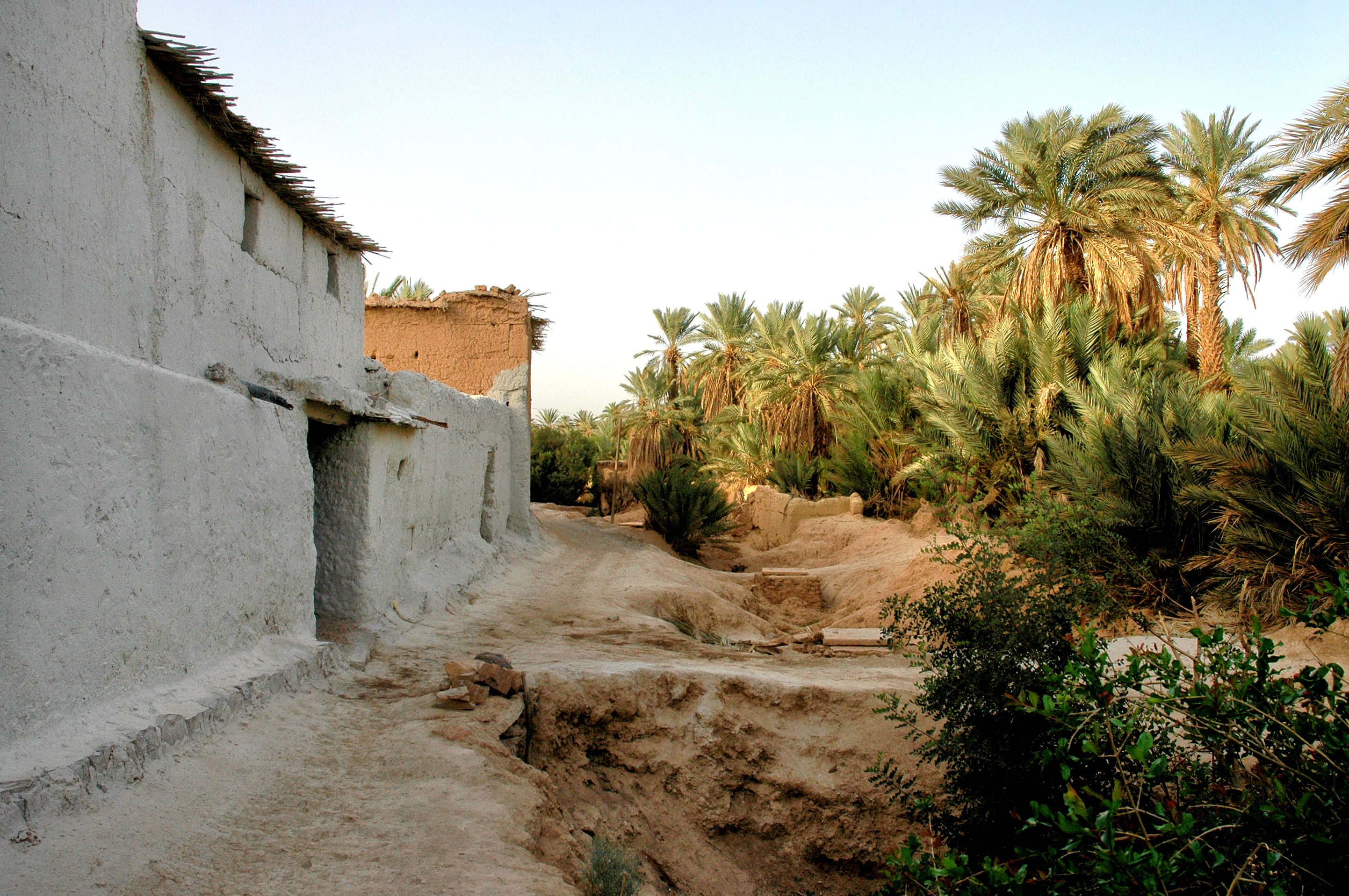 Traditional Adobe Buildings and Palm Oasis in Morocco · Free Stock Photo