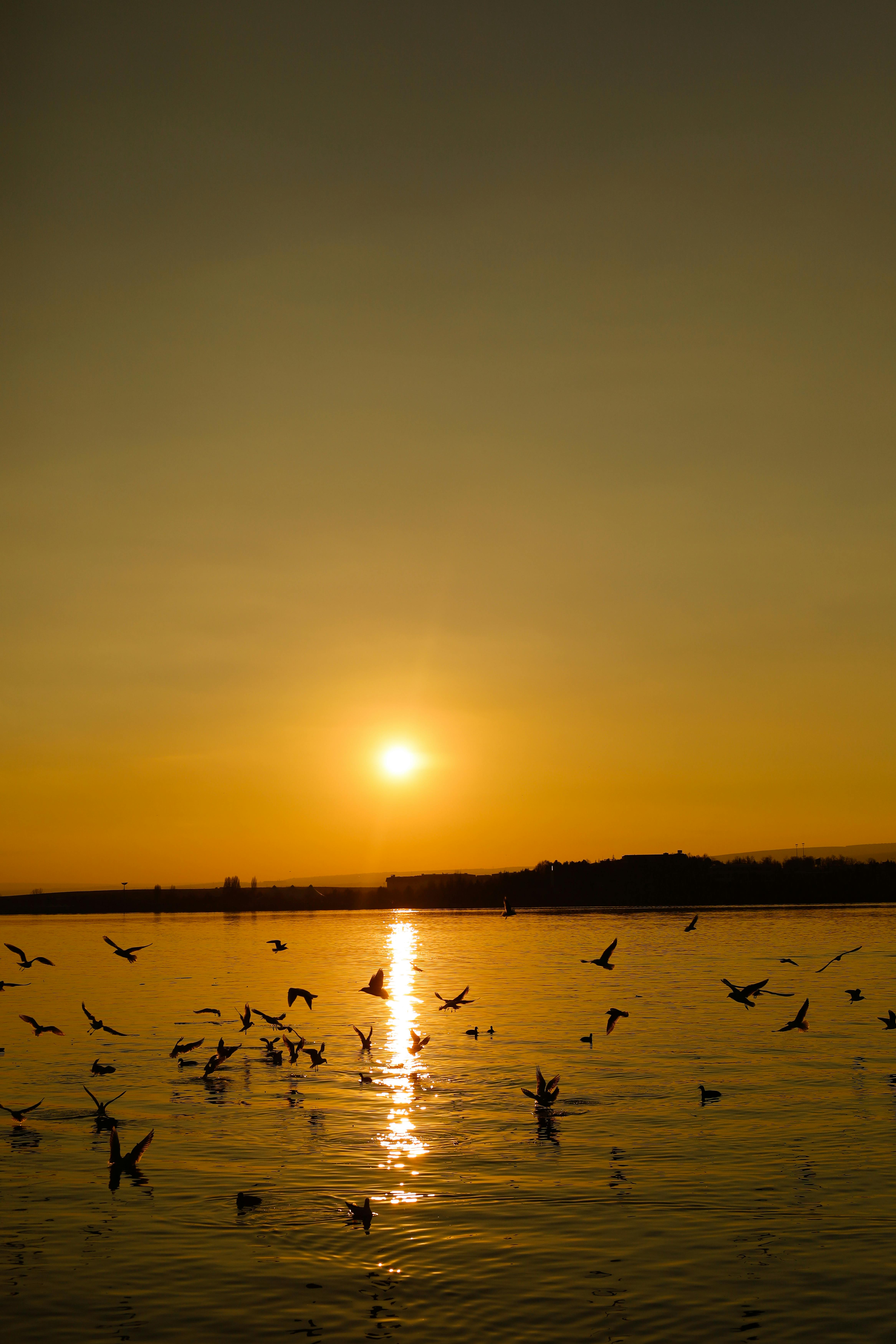 Warm Reflection Photos, Download The BEST Free Warm Reflection Stock ...