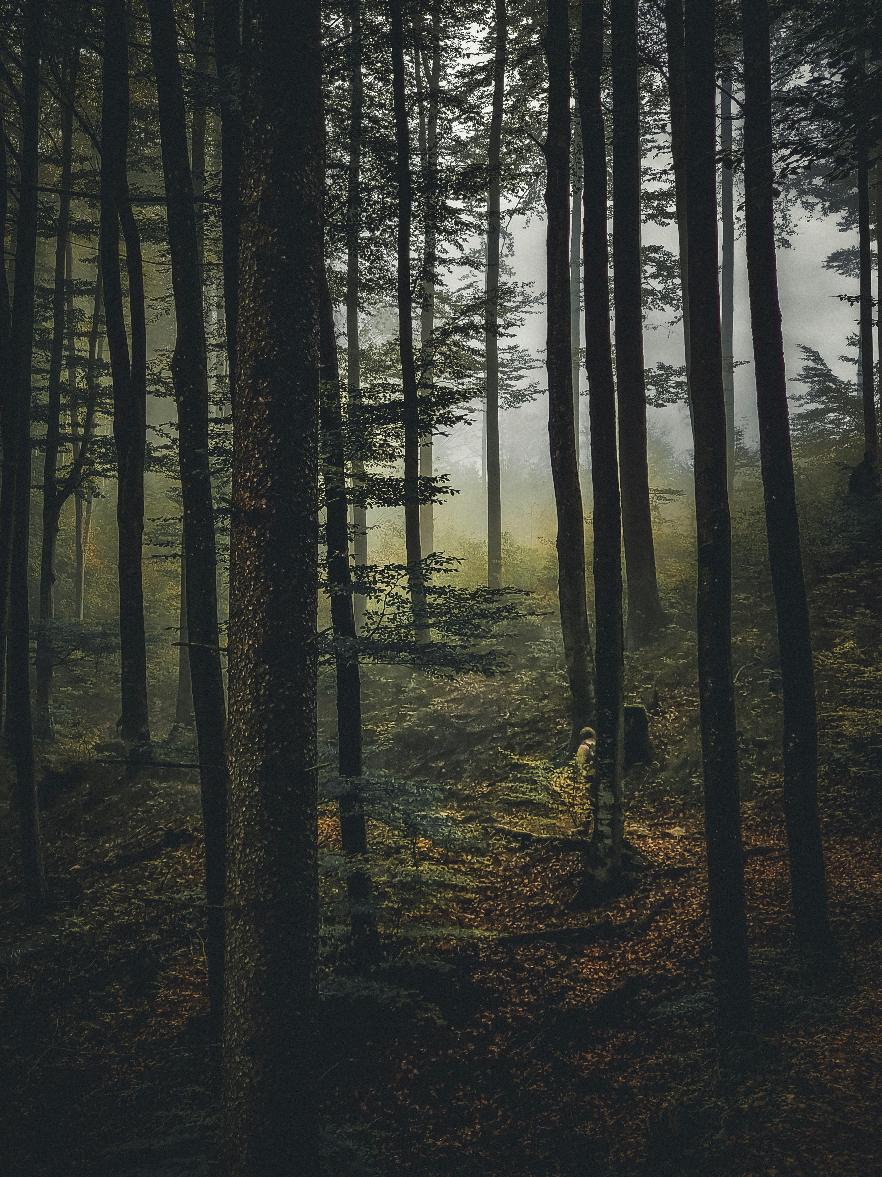 Tuff+Nba+Wallpapers Photos, Download The BEST Free Tuff+Nba+Wallpapers ...