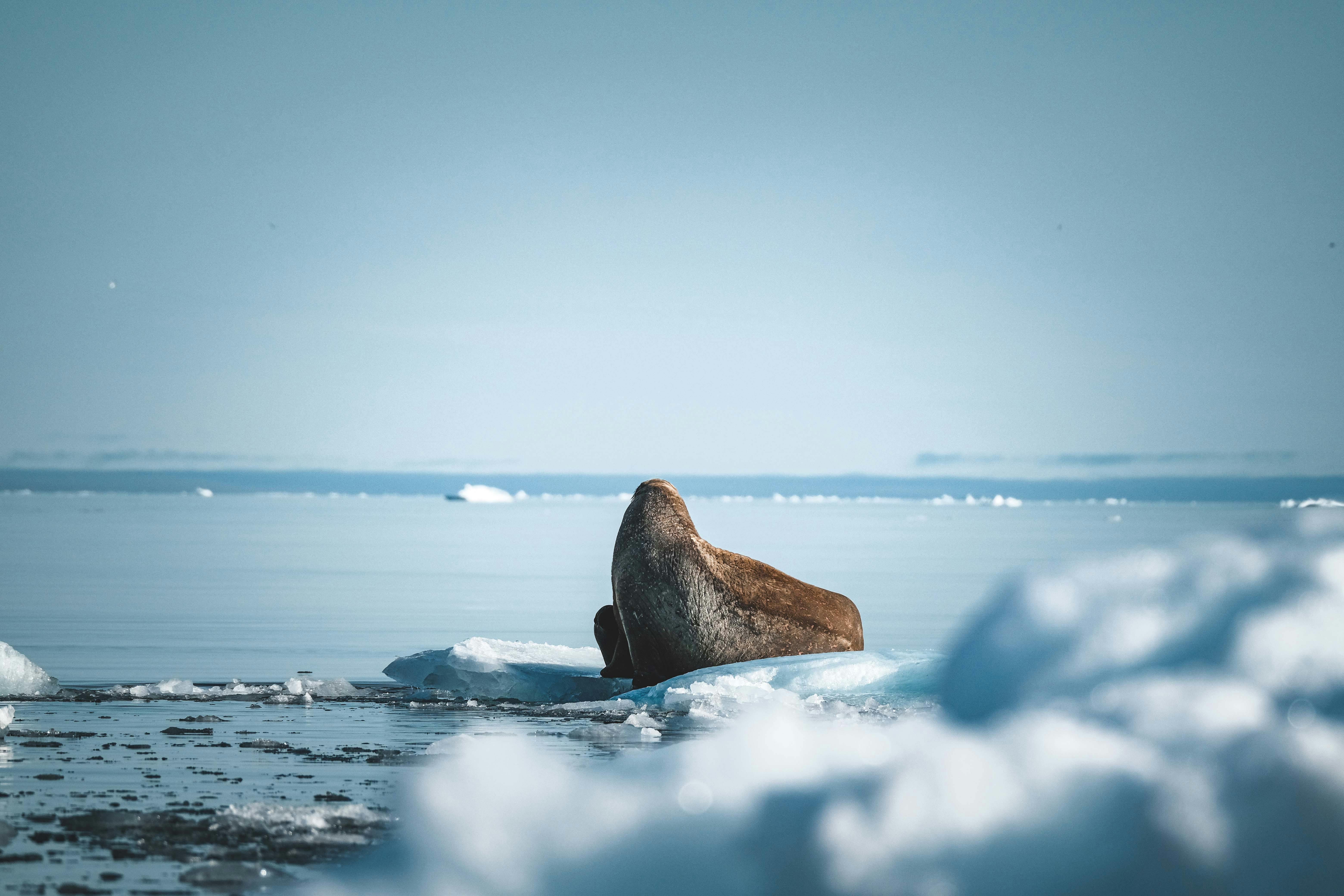 Calm Sea Photos, Download The BEST Free Calm Sea Stock Photos & HD Images